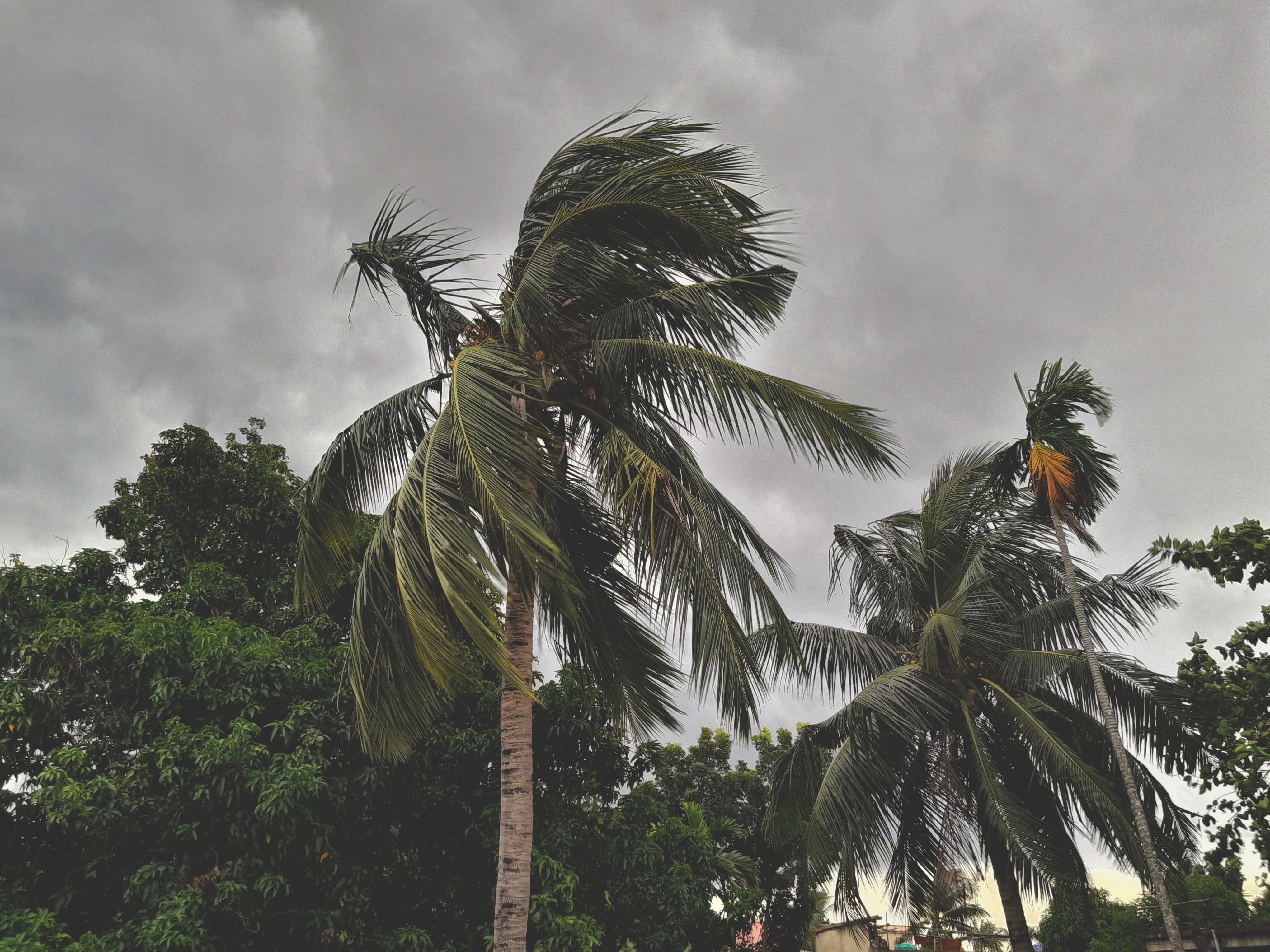 Tropical+Rainfall+Dti Photos, Download The BEST Free Tropical+Rainfall ...