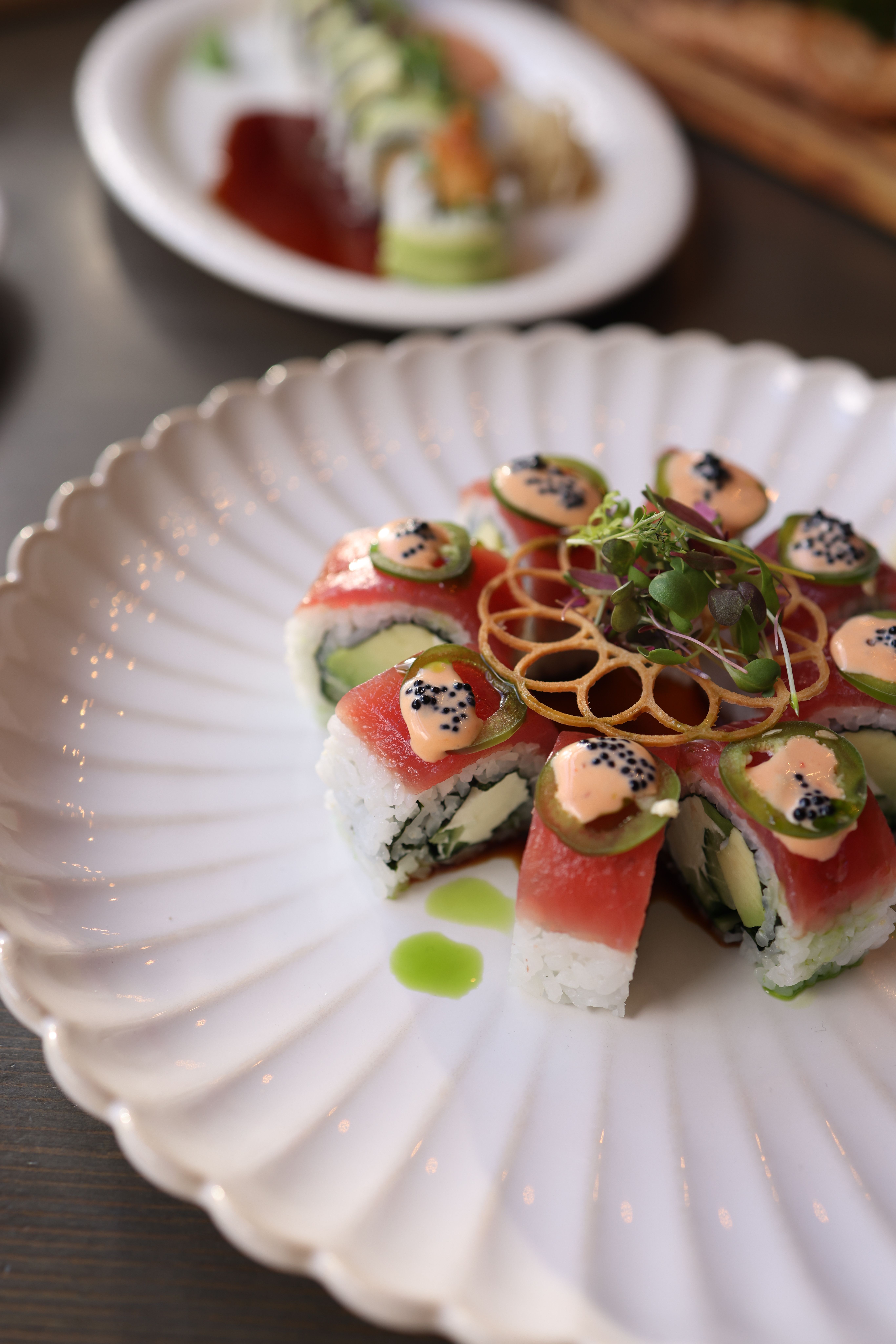 Maki Back Photos, Download The BEST Free Maki Back Stock Photos & HD Images