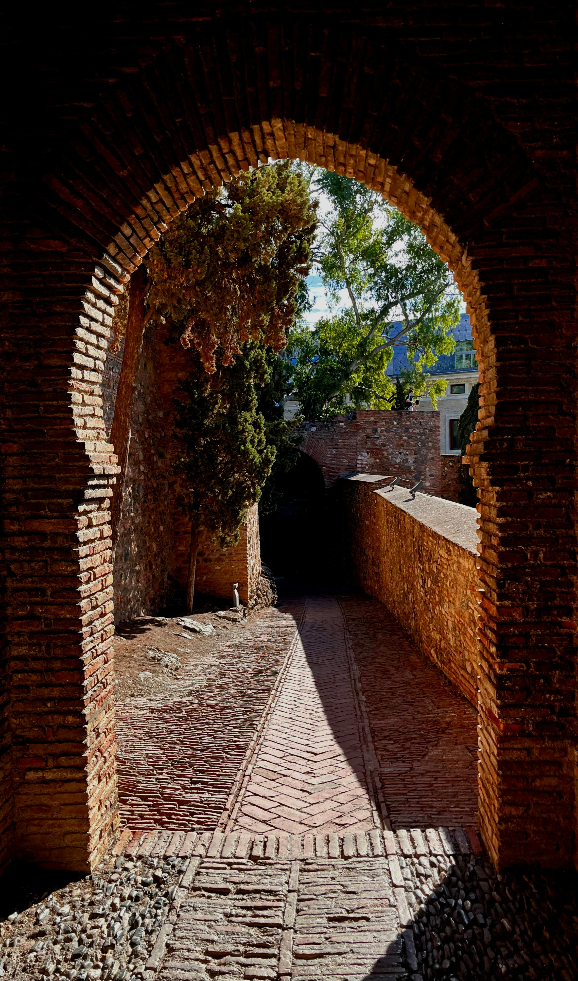 Swai+Site Photos, Download The BEST Free Swai+Site Stock Photos & HD Images