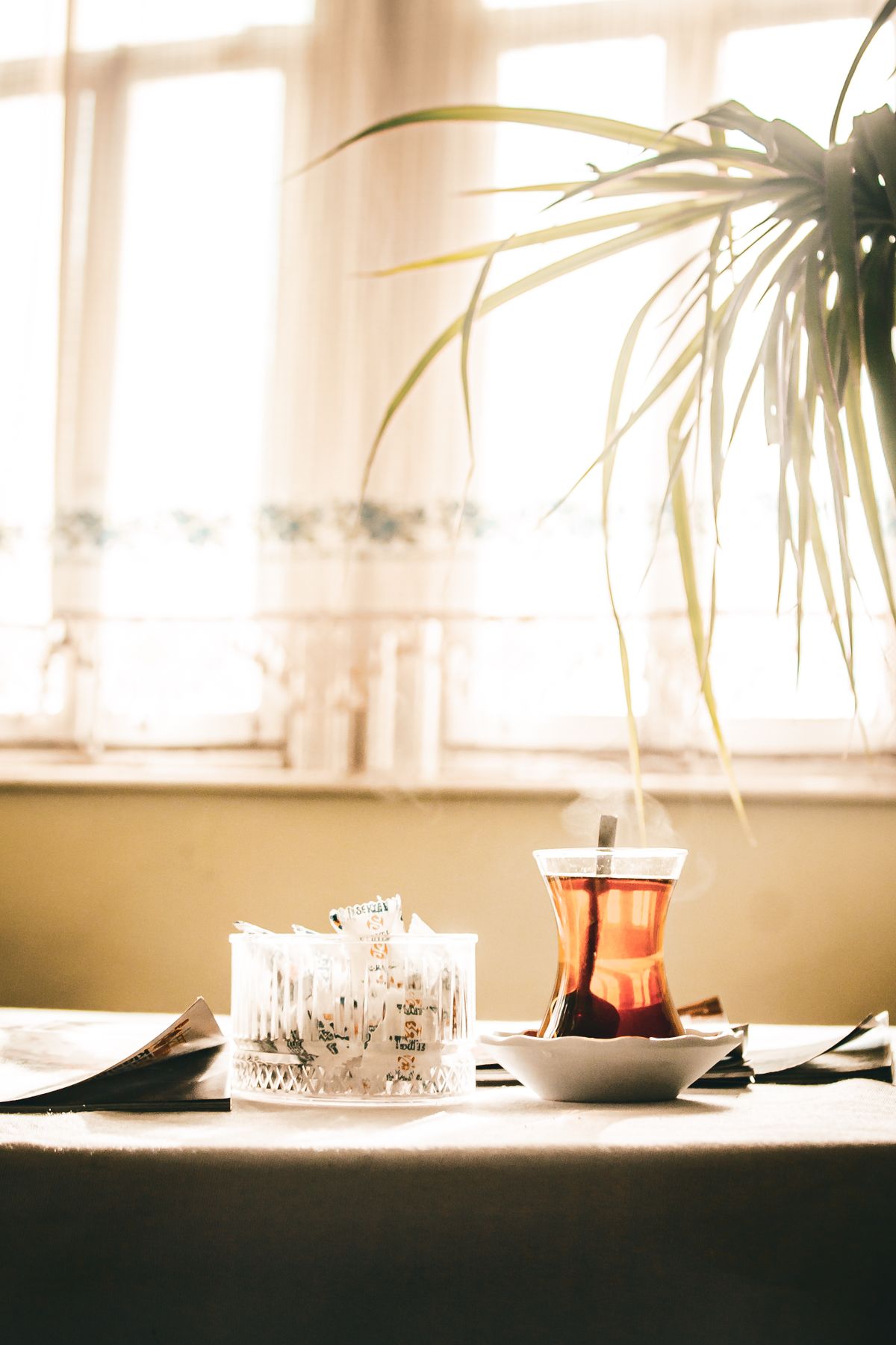 Morning Tea Photos, Download The BEST Free Morning Tea Stock Photos ...