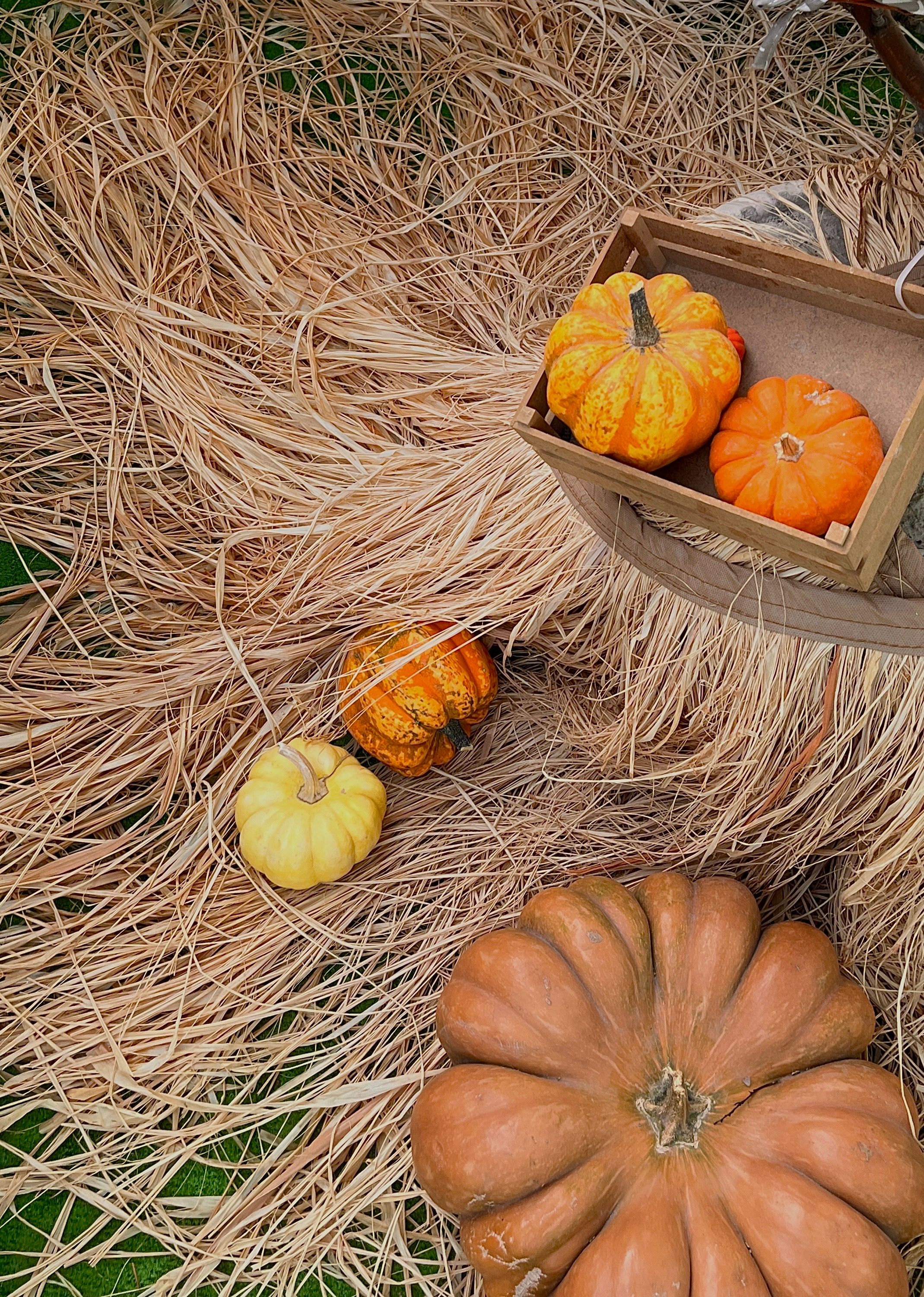 Straw Pumpkins Decoration Photos, Download The BEST Free Straw Pumpkins ...