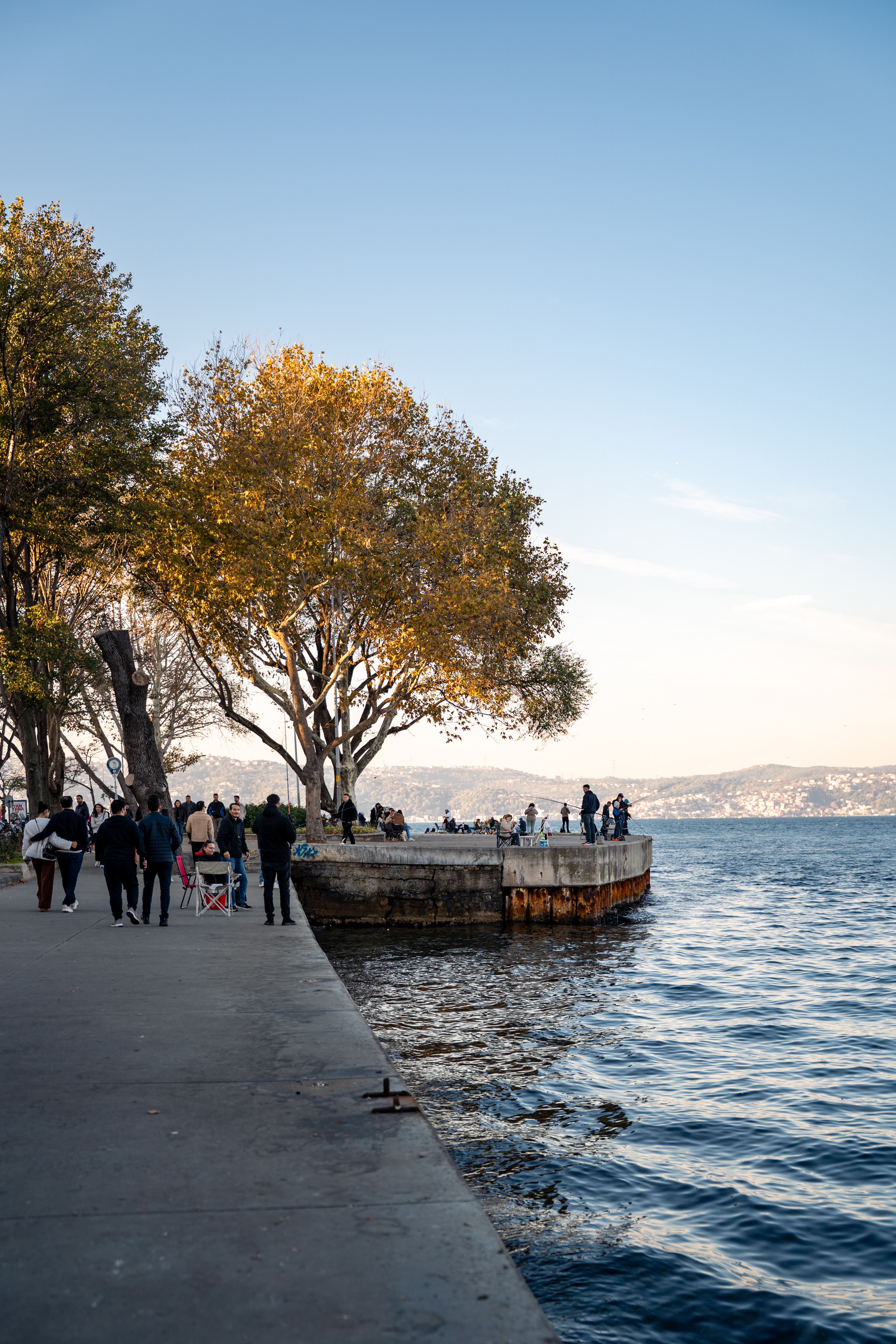 Autumn Stroll by the Waterfront · Free Stock Photo