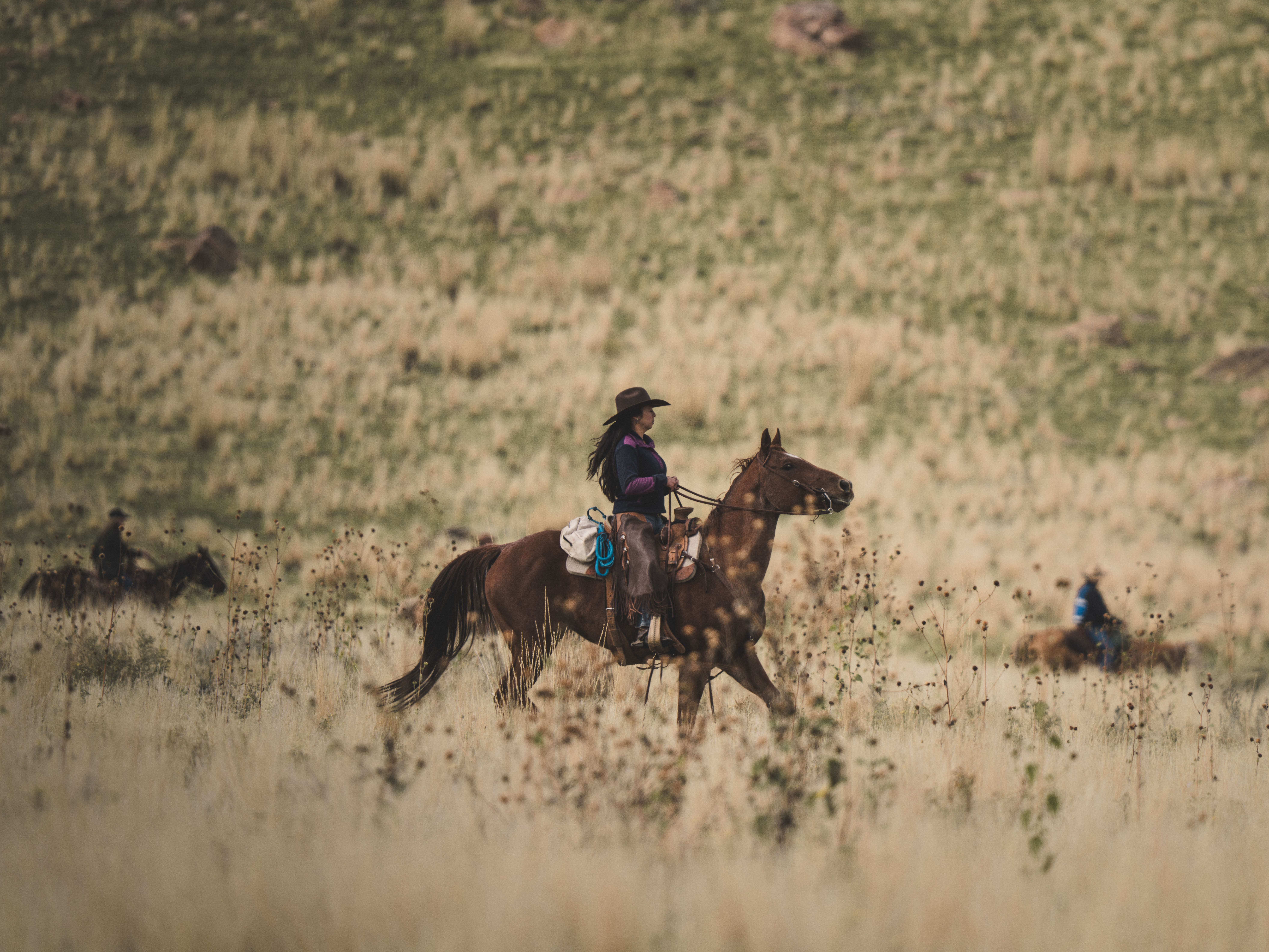 Cowboy Riding Horse in Utah Wilderness · Free Stock Photo