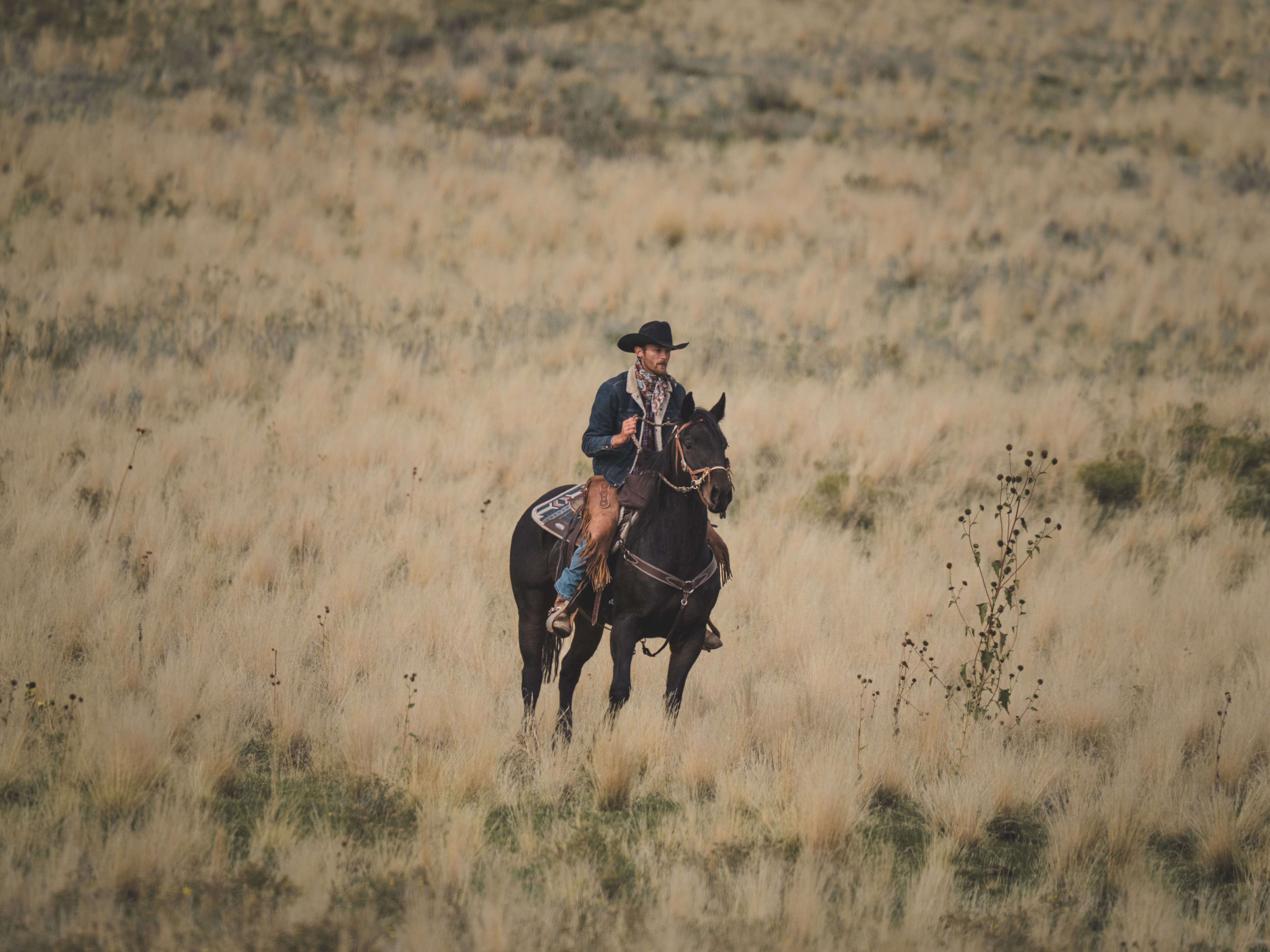 Cowboy Riding Horse in the Utah Wilderness · Free Stock Photo