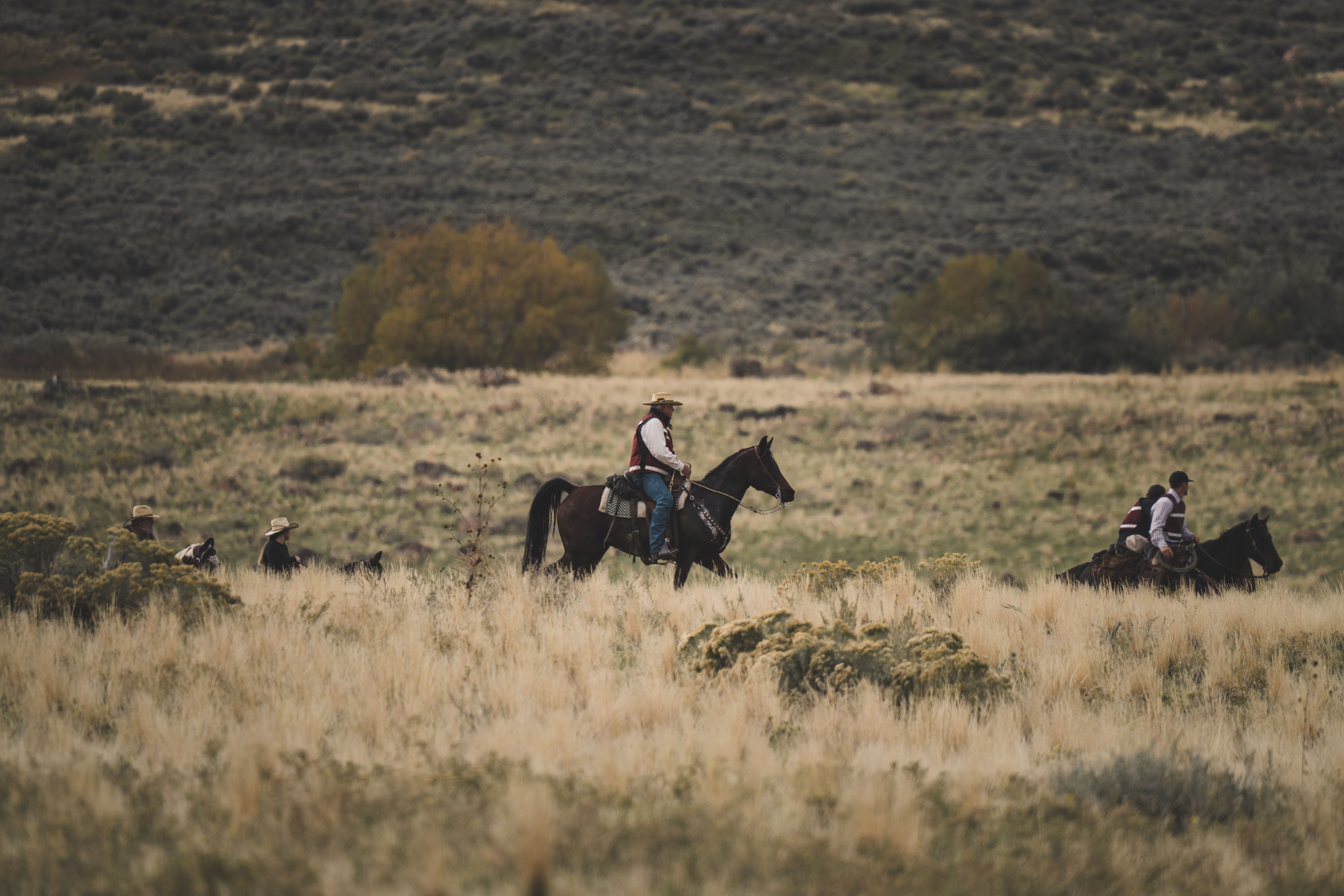 Cowboys Riding Horses in Utah's Vast Landscape · Free Stock Photo