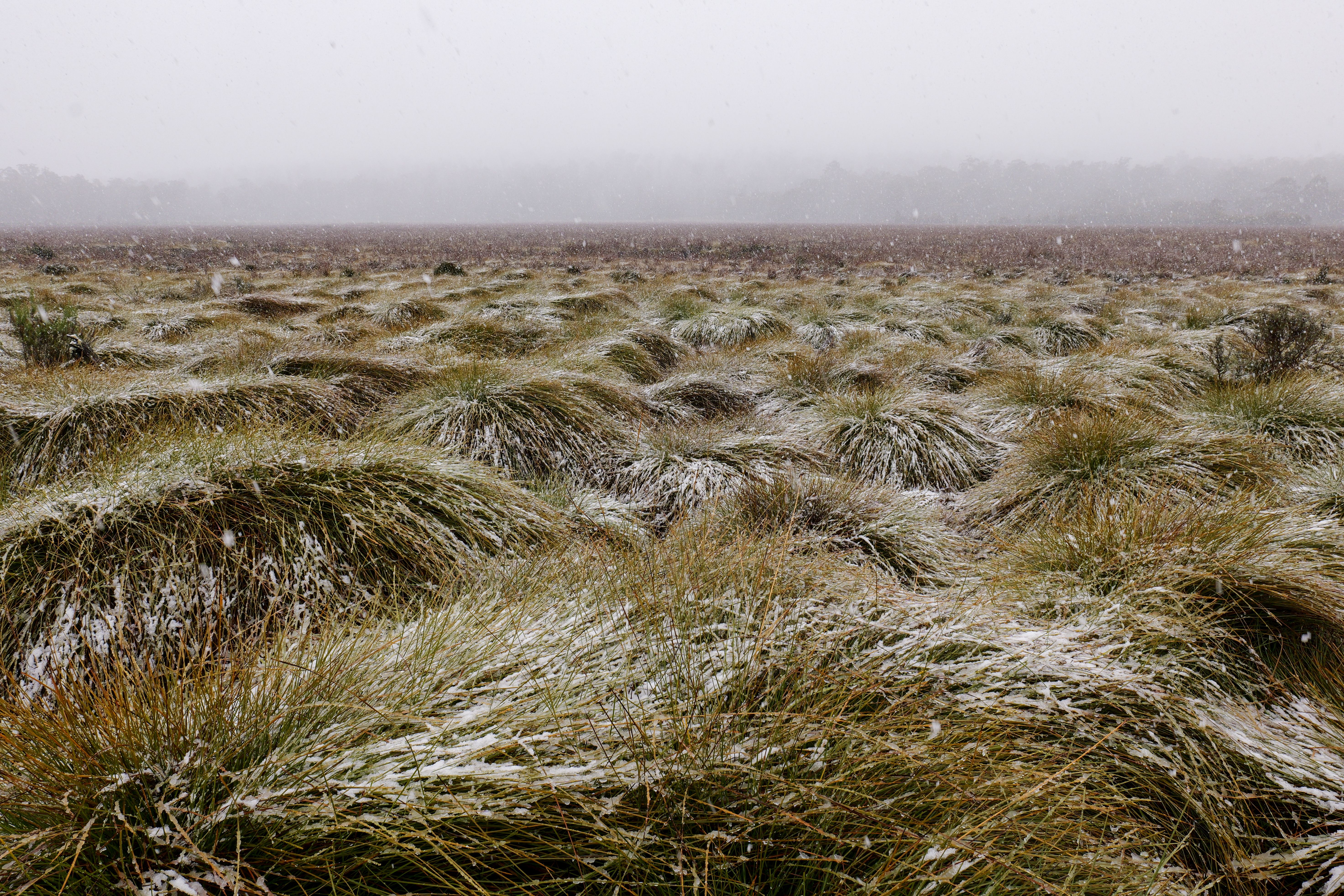 Winter Landscape in Tasmanian Wilderness · Free Stock Photo