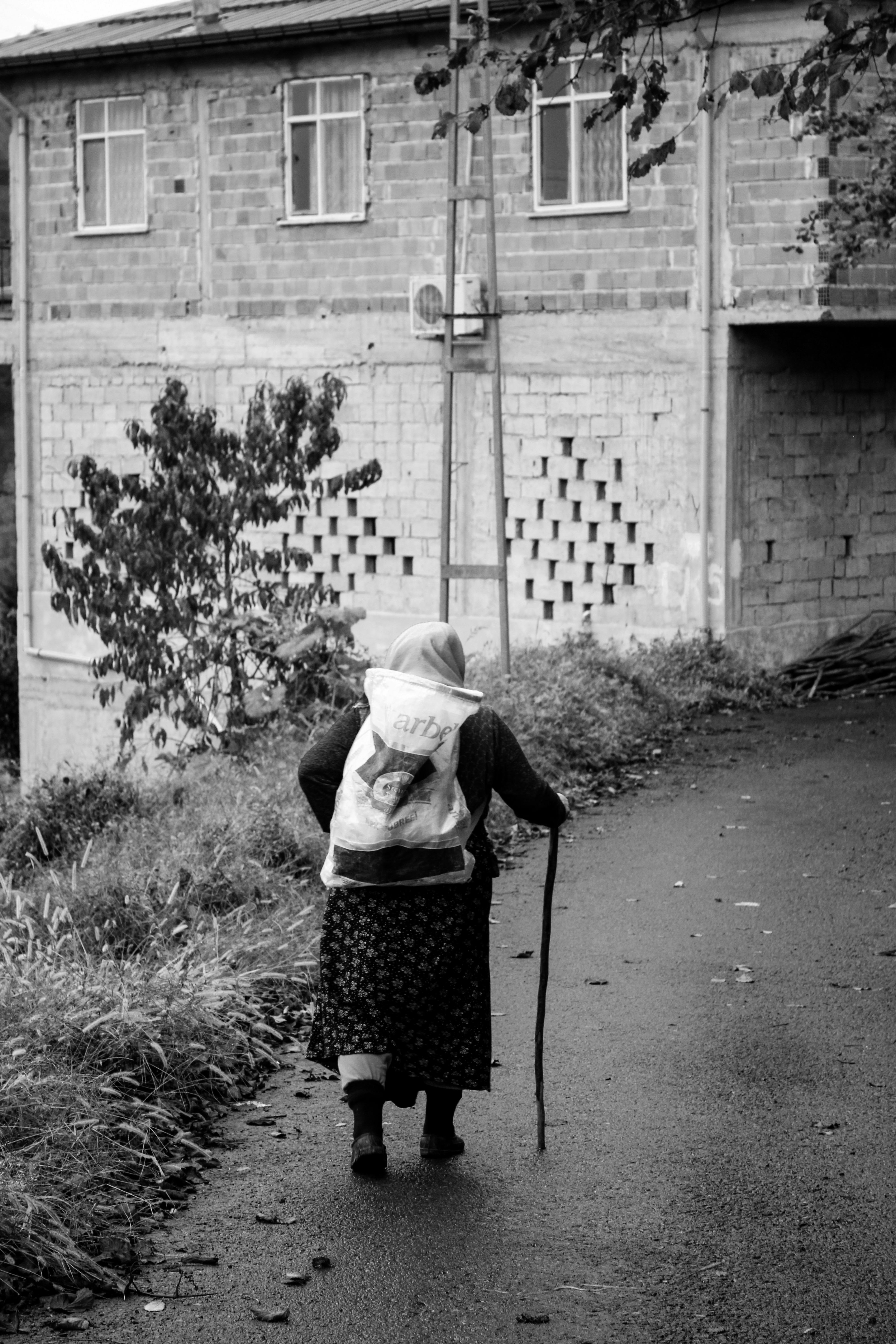 10.000+ Köy+enstitüleri Bilder und Fotos · Kostenlos Downloaden ...