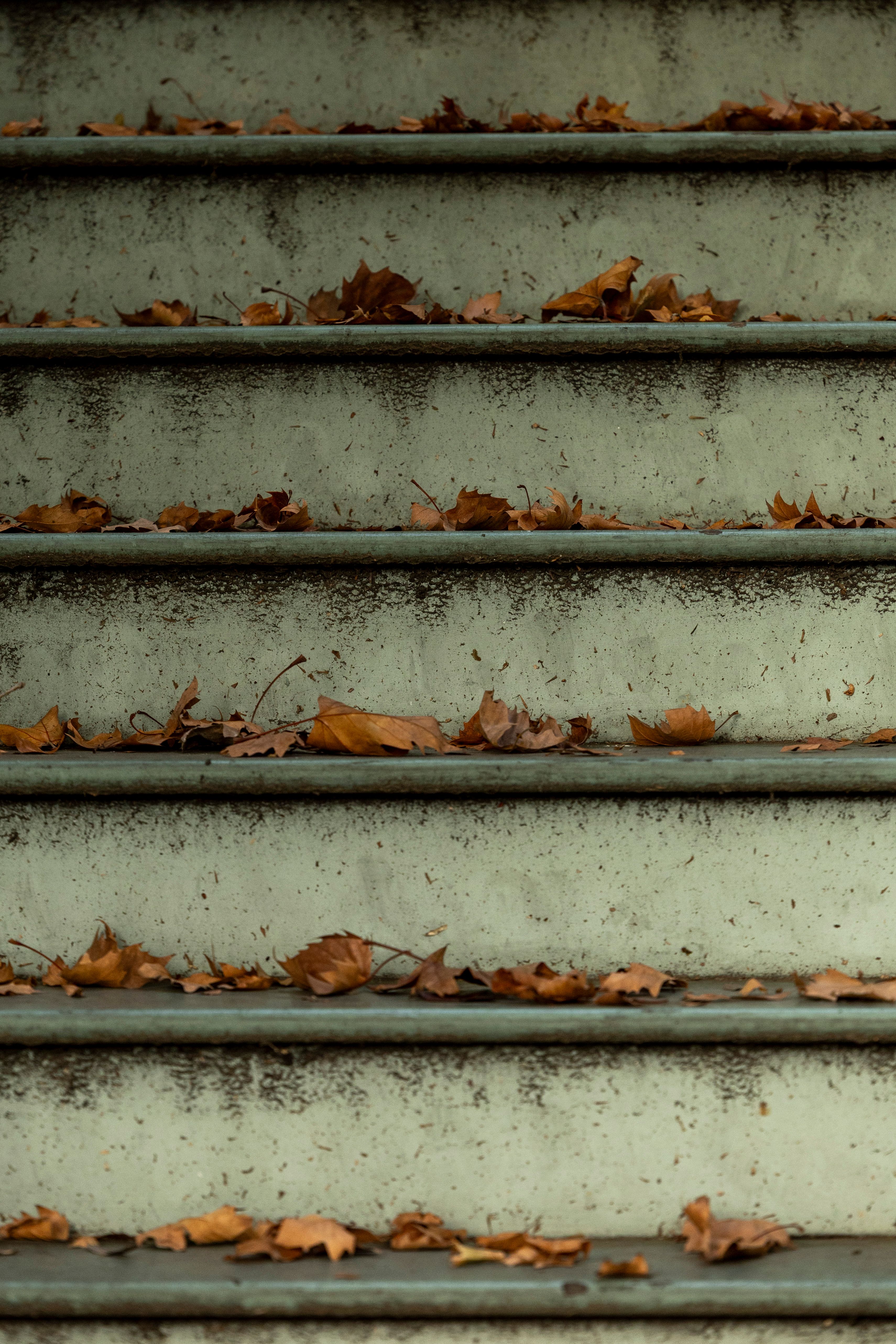 Autumn Leaves on Urban Concrete Steps · Free Stock Photo