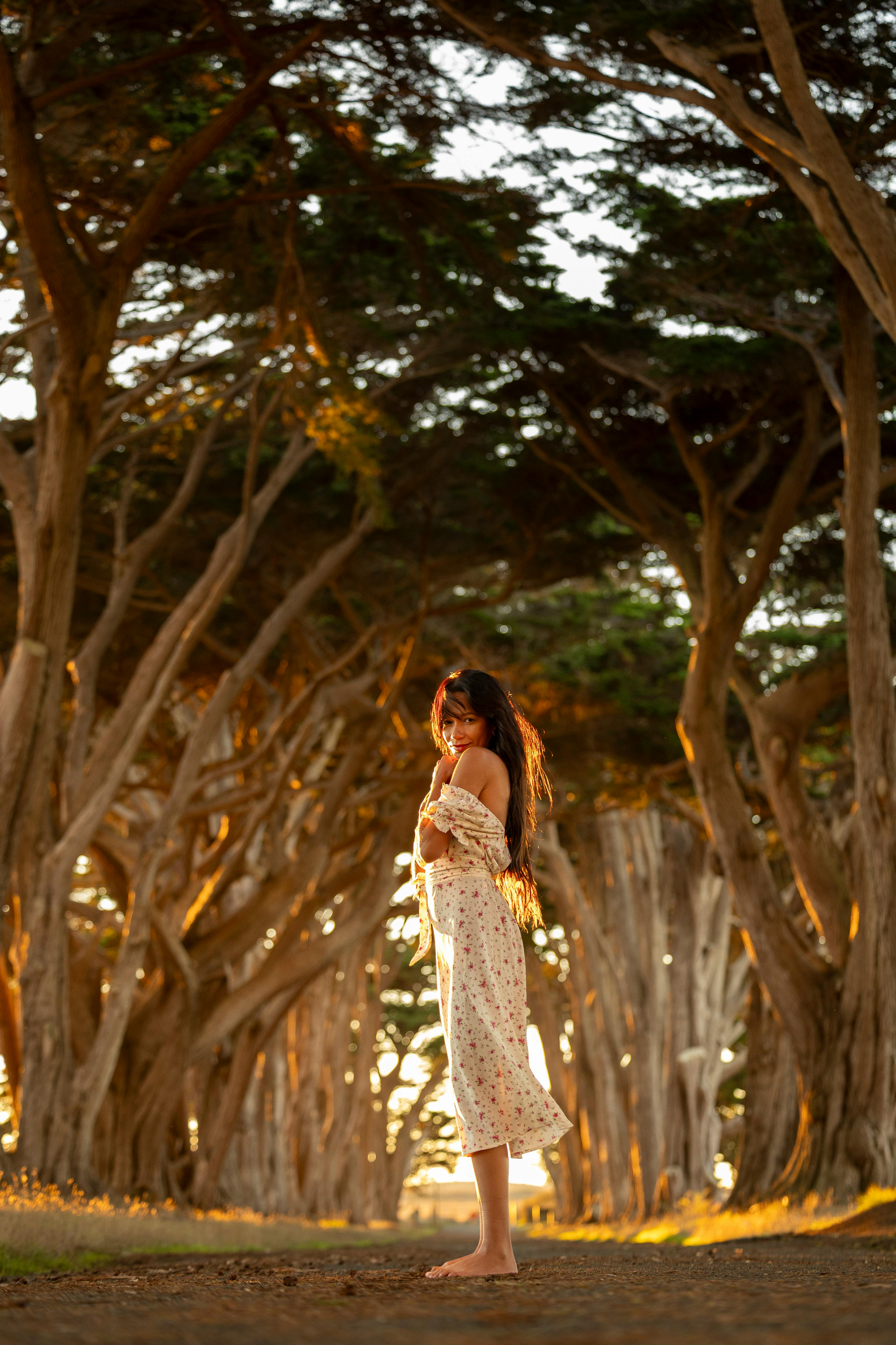 Foto profissional gratuita de adulto, ao ar livre, arco da árvore ...