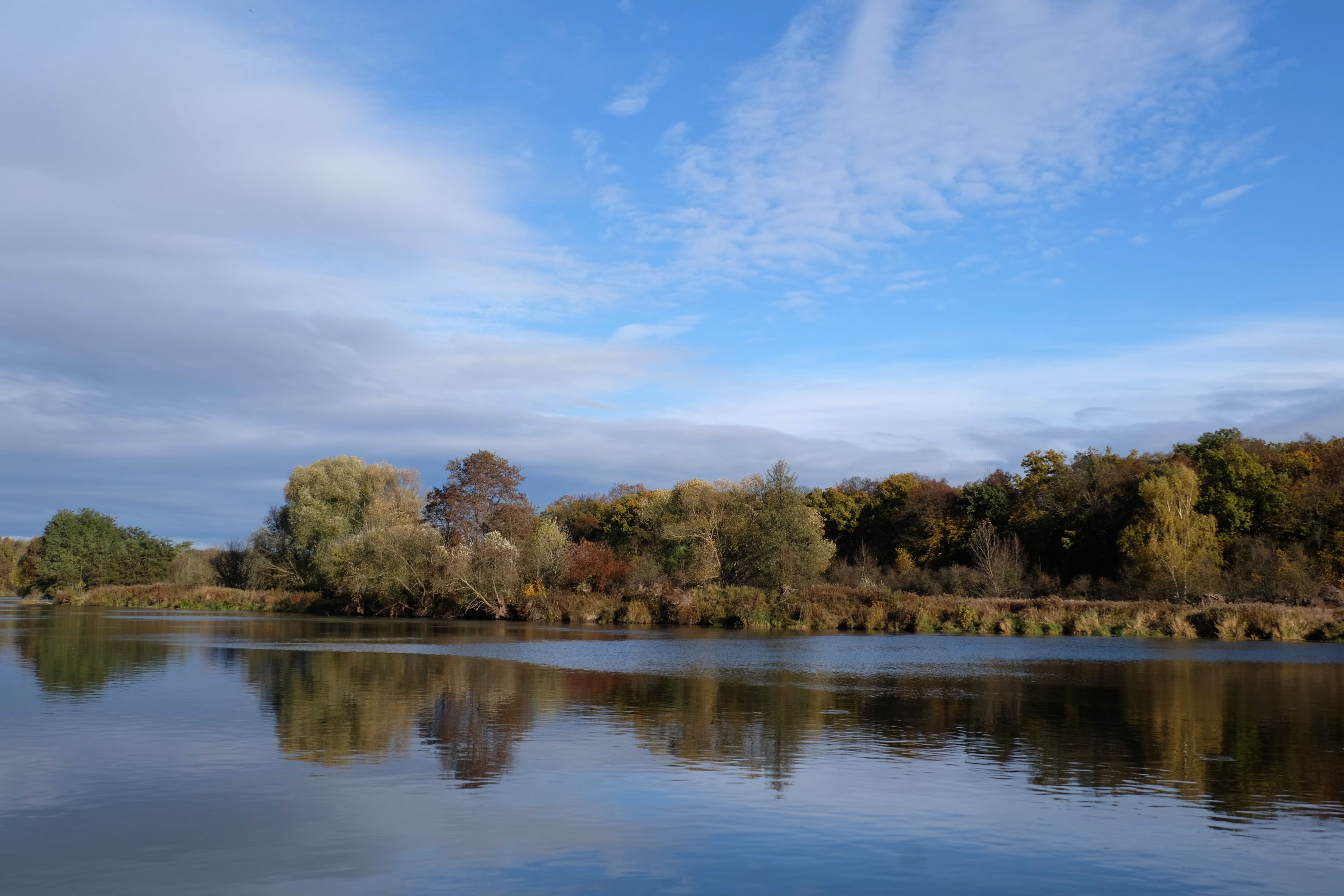 Serene Autumn River Landscape Reflections · Free Stock Photo