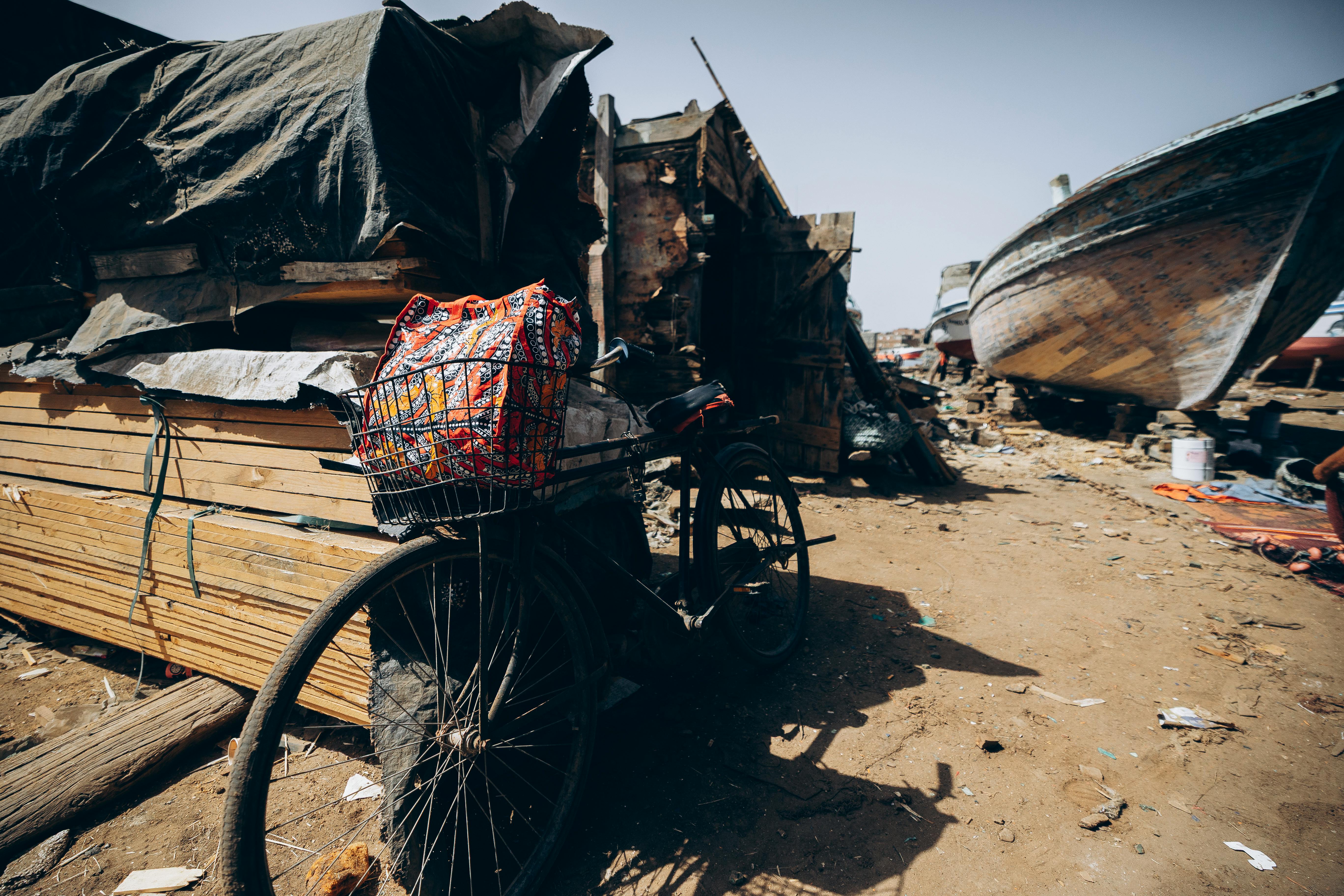 Wallpaper Chipkali Photos, Download The BEST Free Wallpaper Chipkali ...