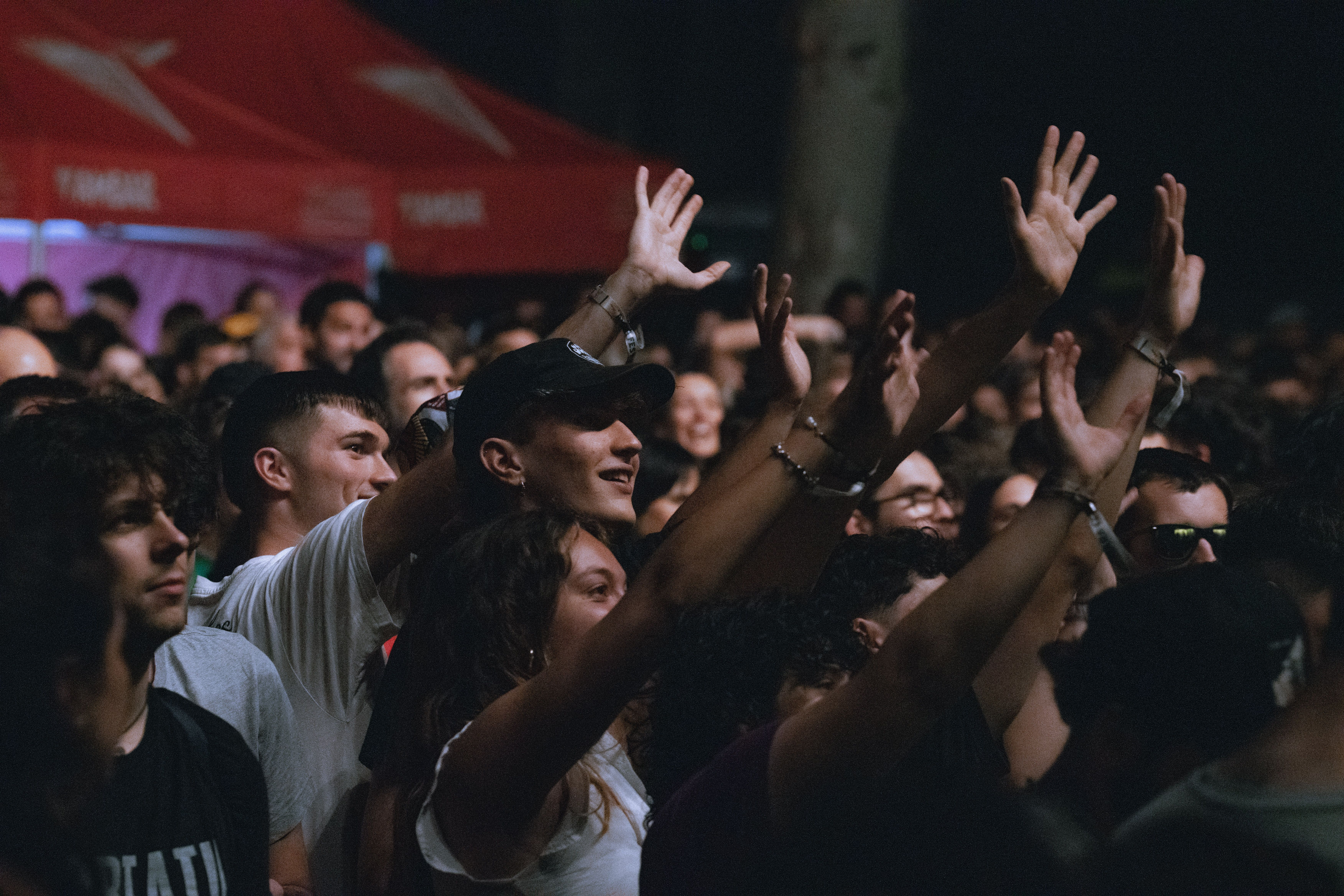 Excited Crowd at an Outdoor Music Festival · Free Stock Photo