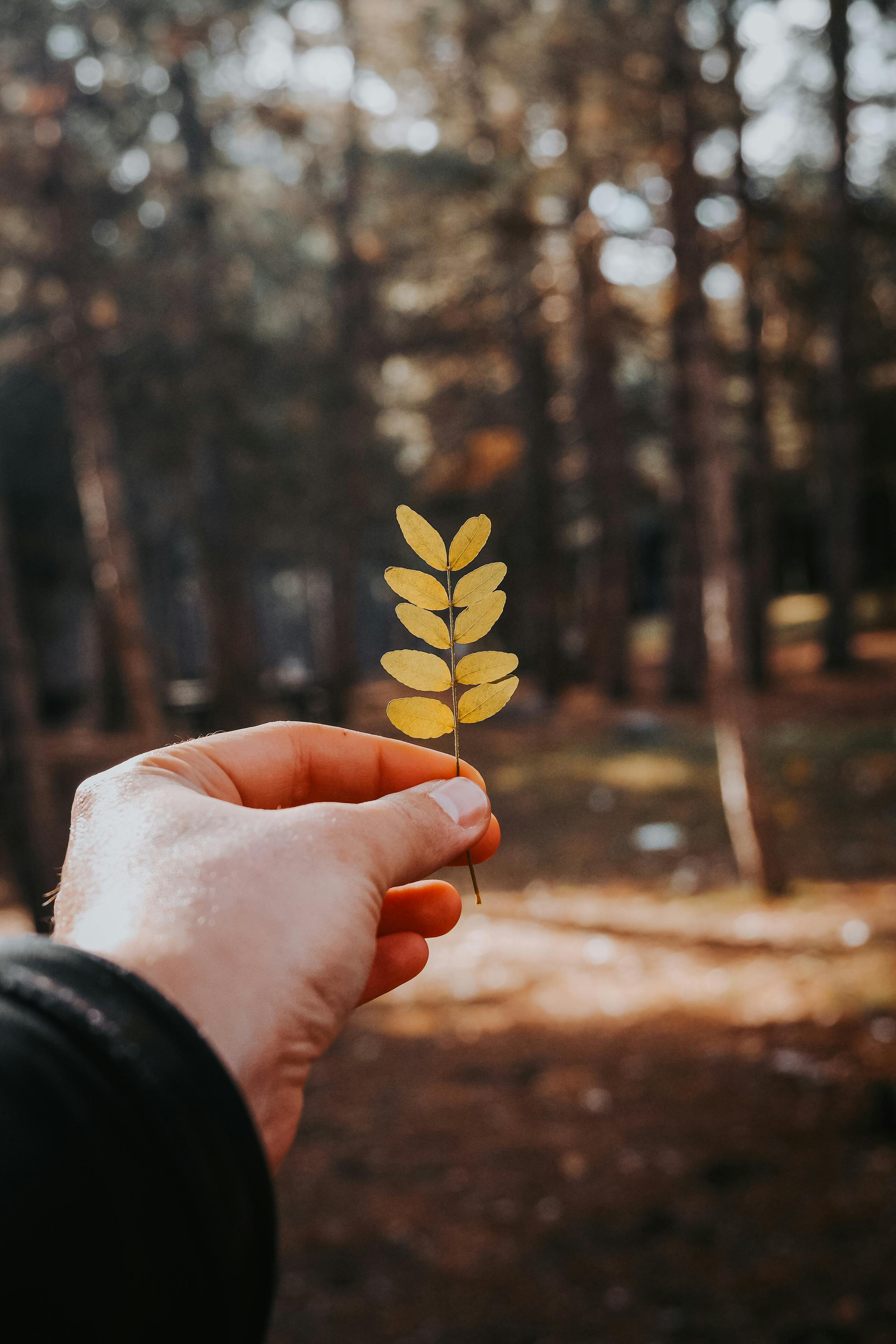 600.000+ Foto Being-human-with-jane-goodall-and-francis-collins Terbaik ...