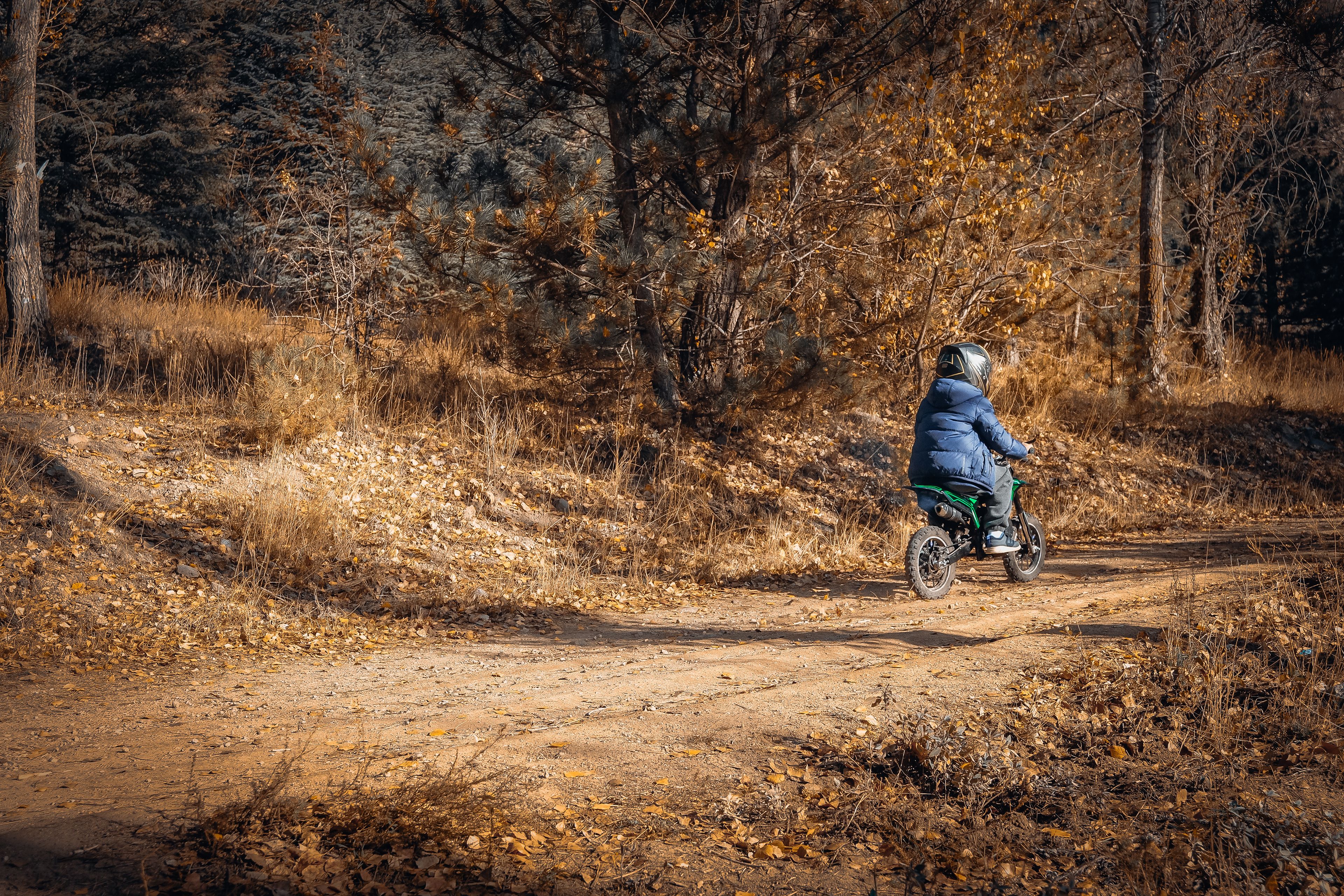 Utv Trail Riding Photos, Download The BEST Free Utv Trail Riding Stock ...