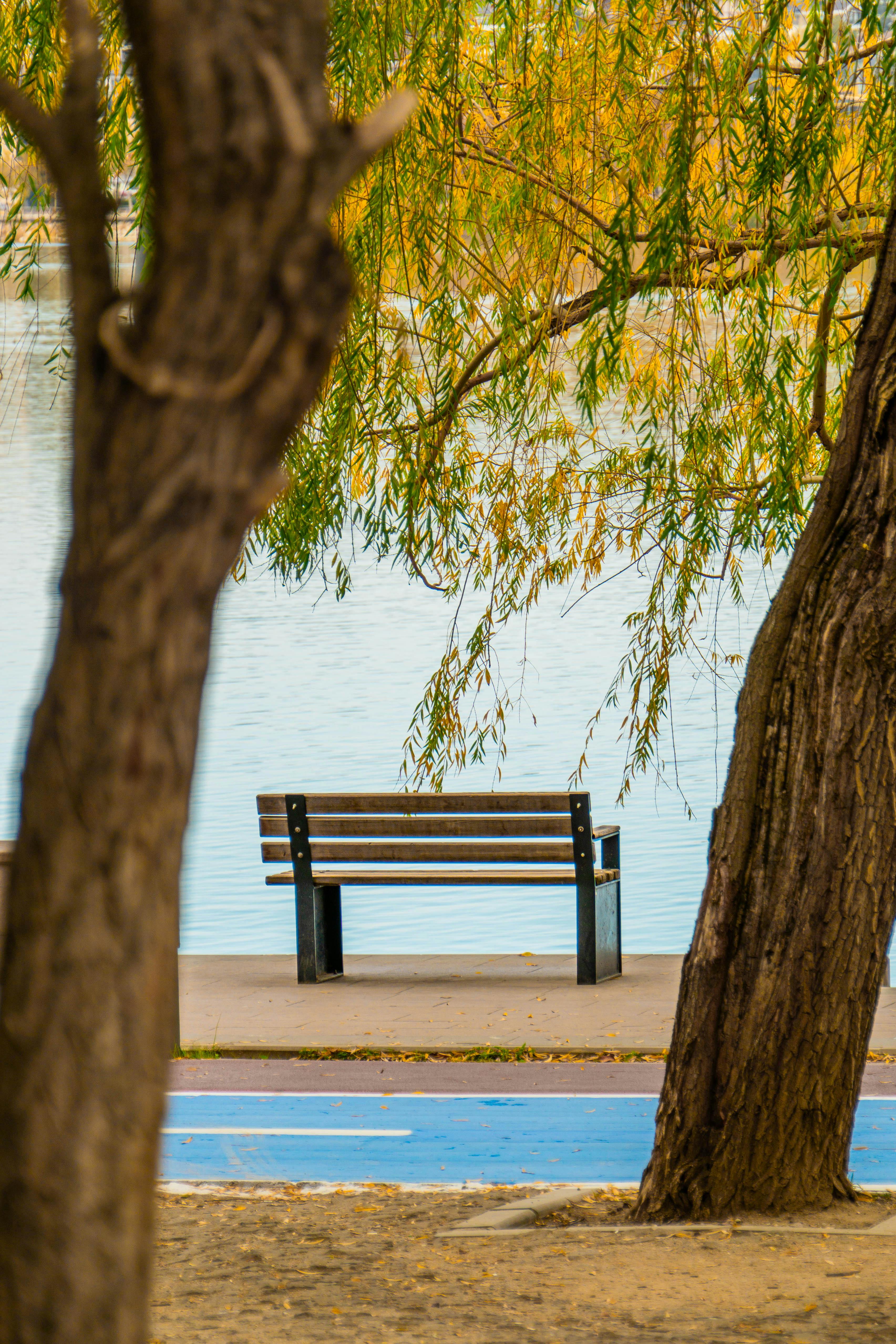 Banco Tranquilo à Beira Do Lago Em Um Cenário De Outono. · Foto ...