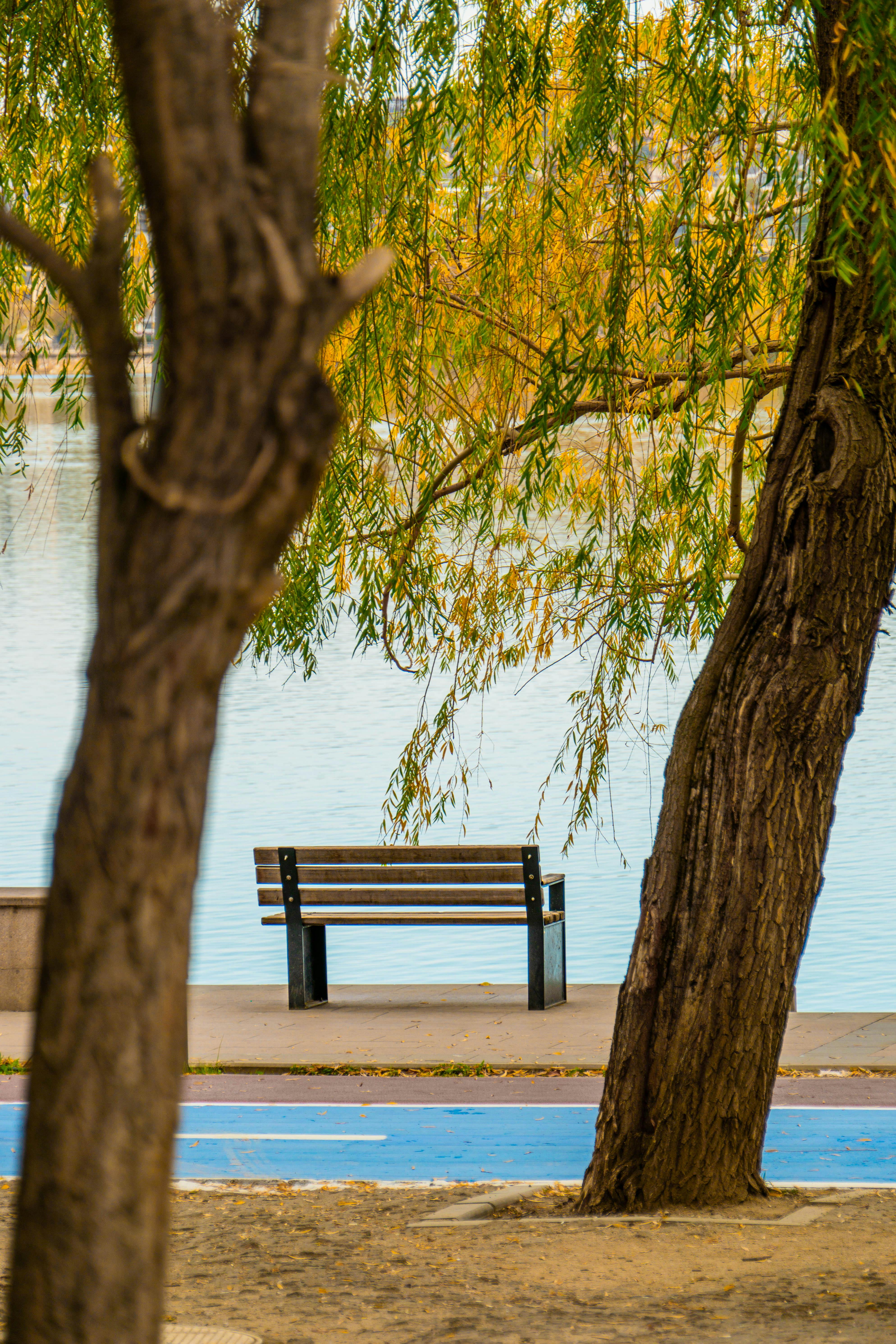 Banco Tranquilo à Beira Do Lago Em Um Cenário De Outono. · Foto ...