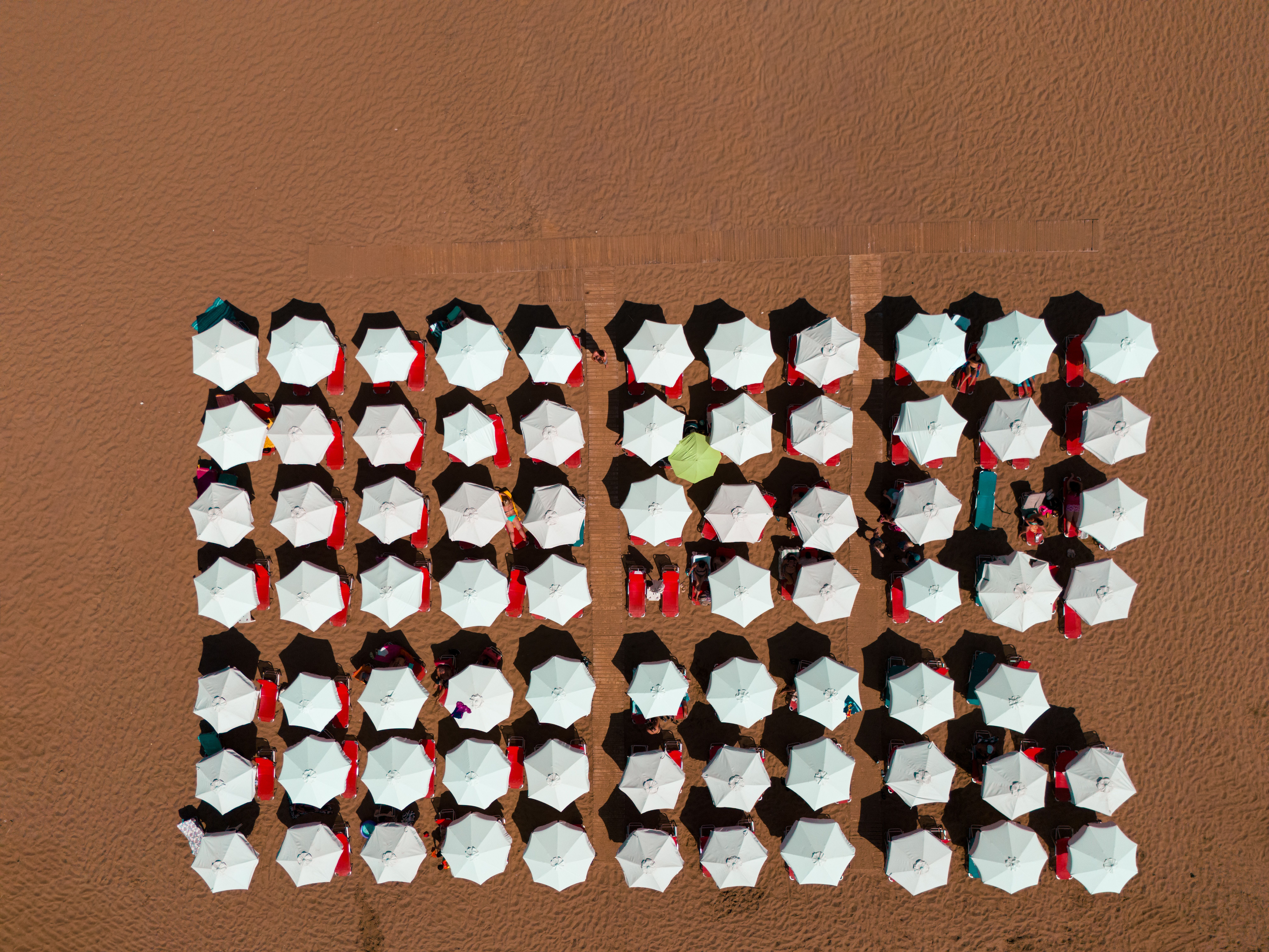 Aerial View of Beach Umbrellas on Sandy Shoreline · Free Stock Photo