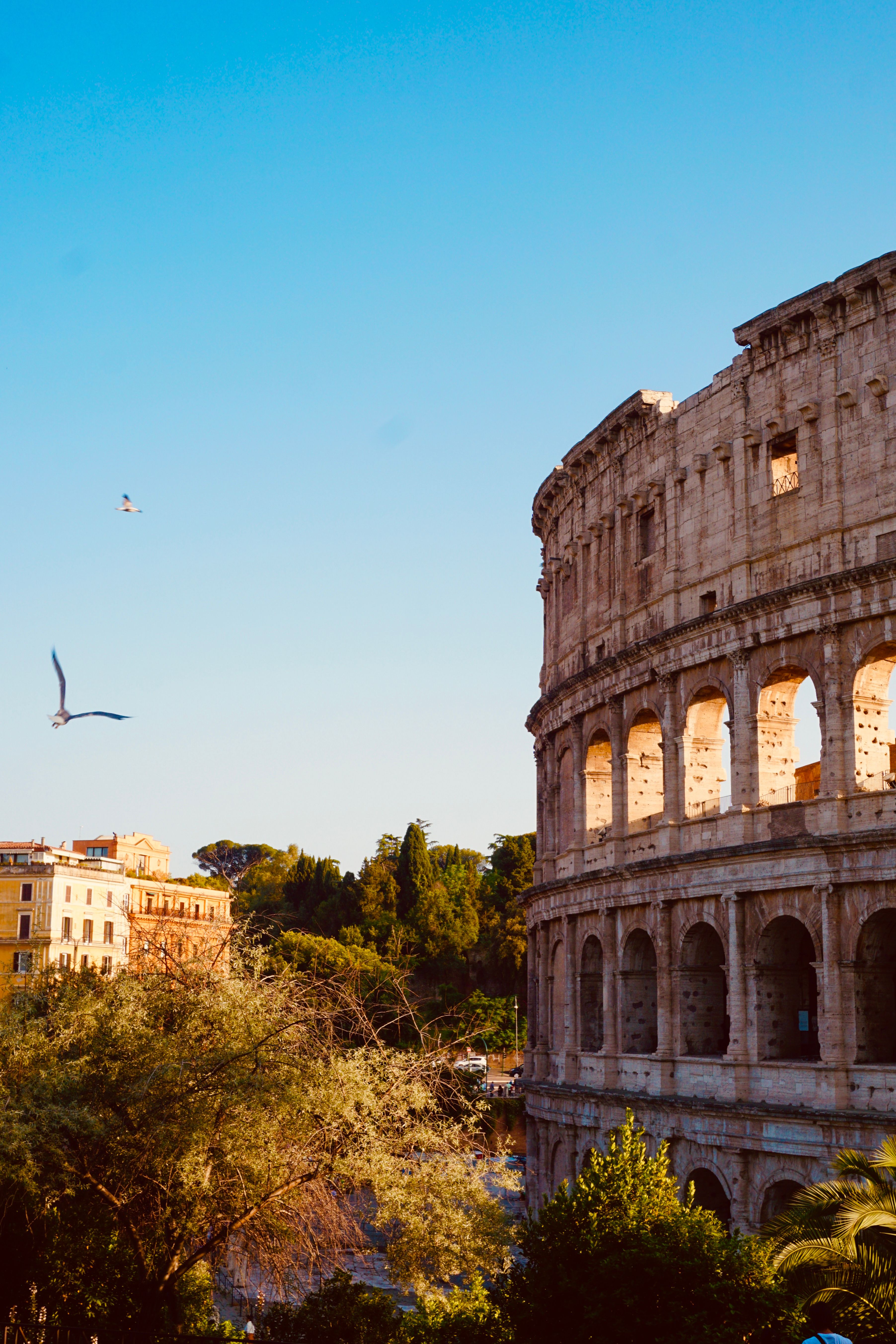 Stunning View of the Colosseum at Sunset in Rome · Free Stock Photo