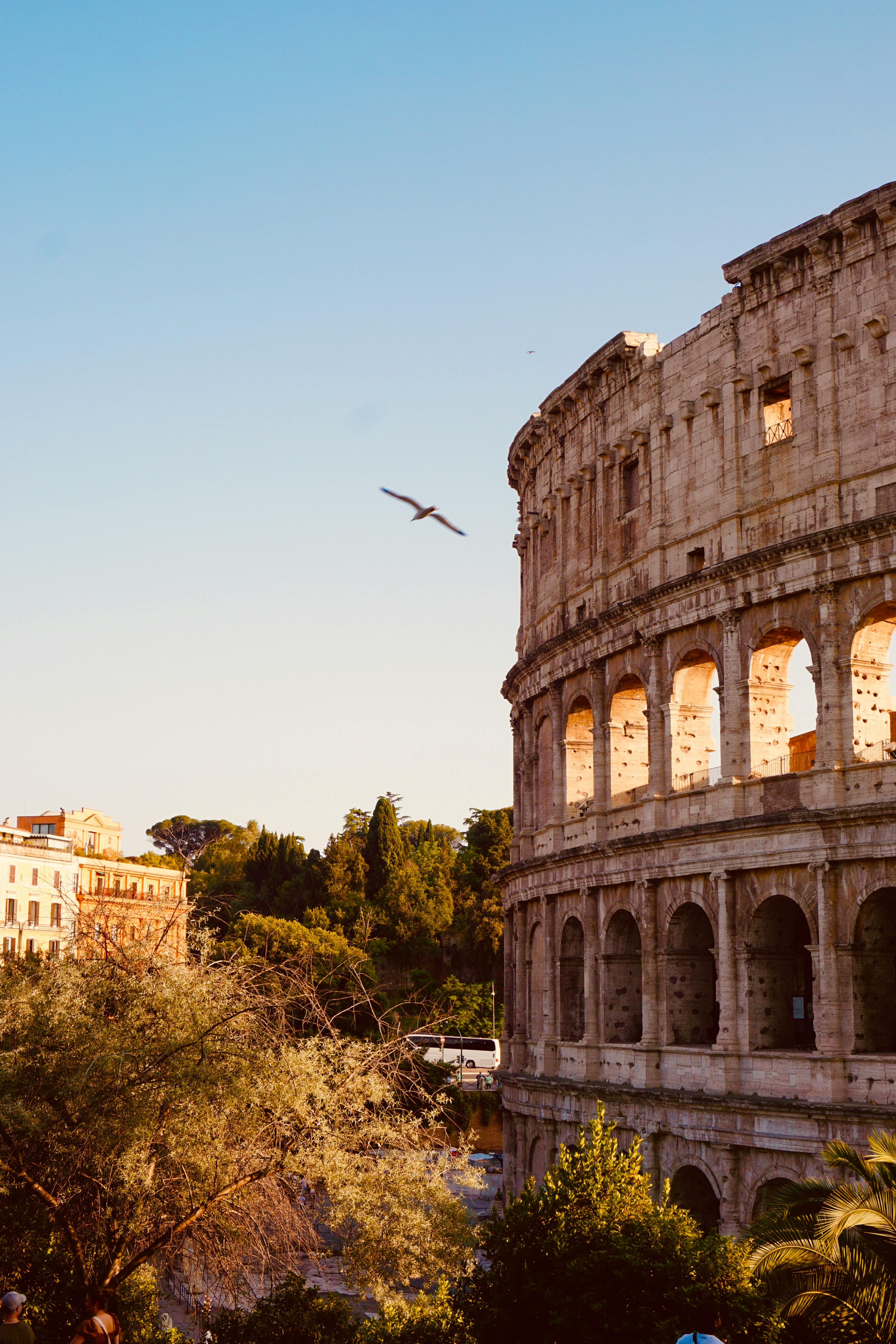 Fifa World Cup 2026 Logo Fifplay Photos, Download The BEST Free Fifa World Cup 2026 Logo Fifplay ...