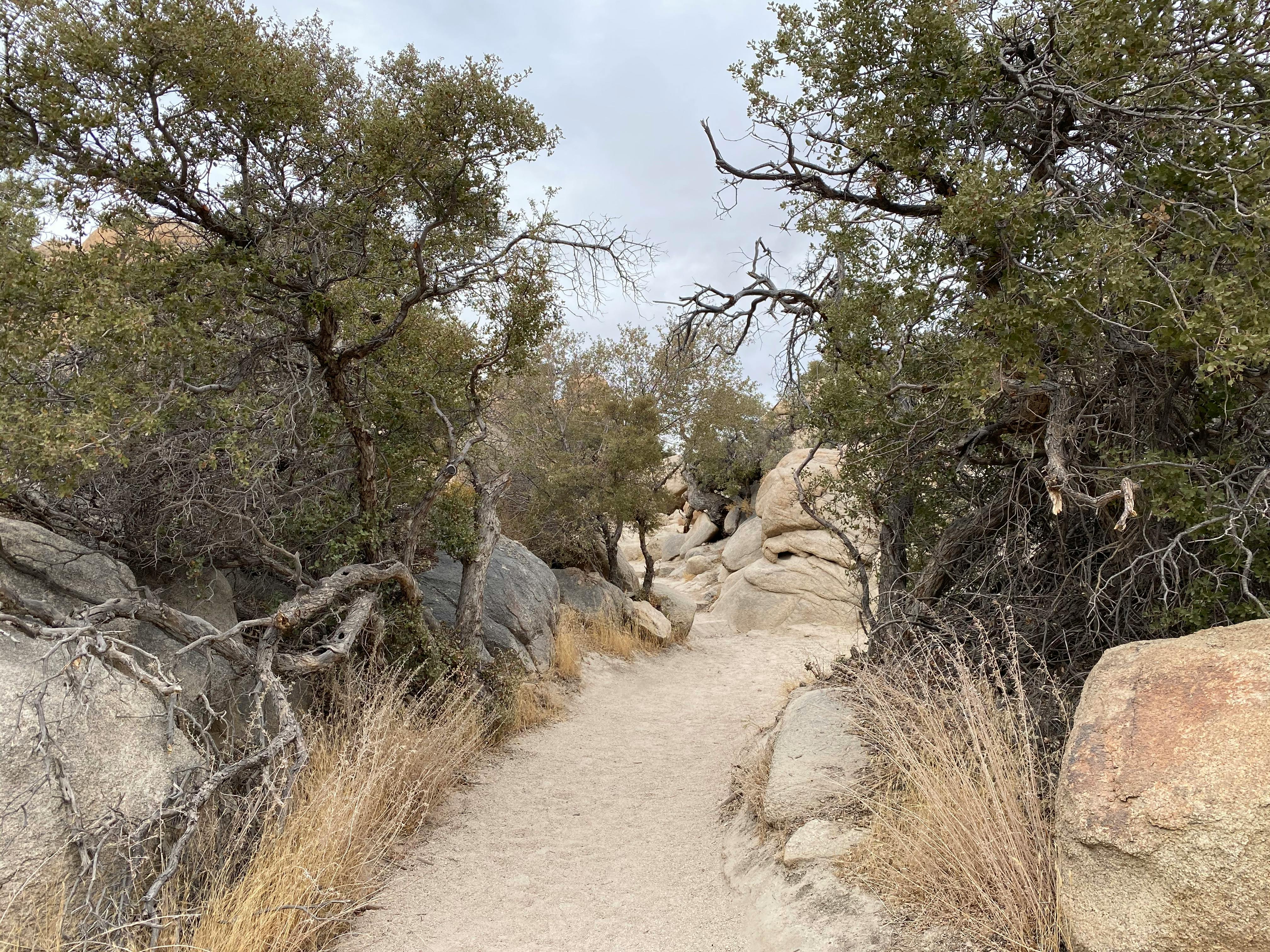 [Adobe+Website],+English+(Us) Photos, Download The BEST Free [Adobe ...