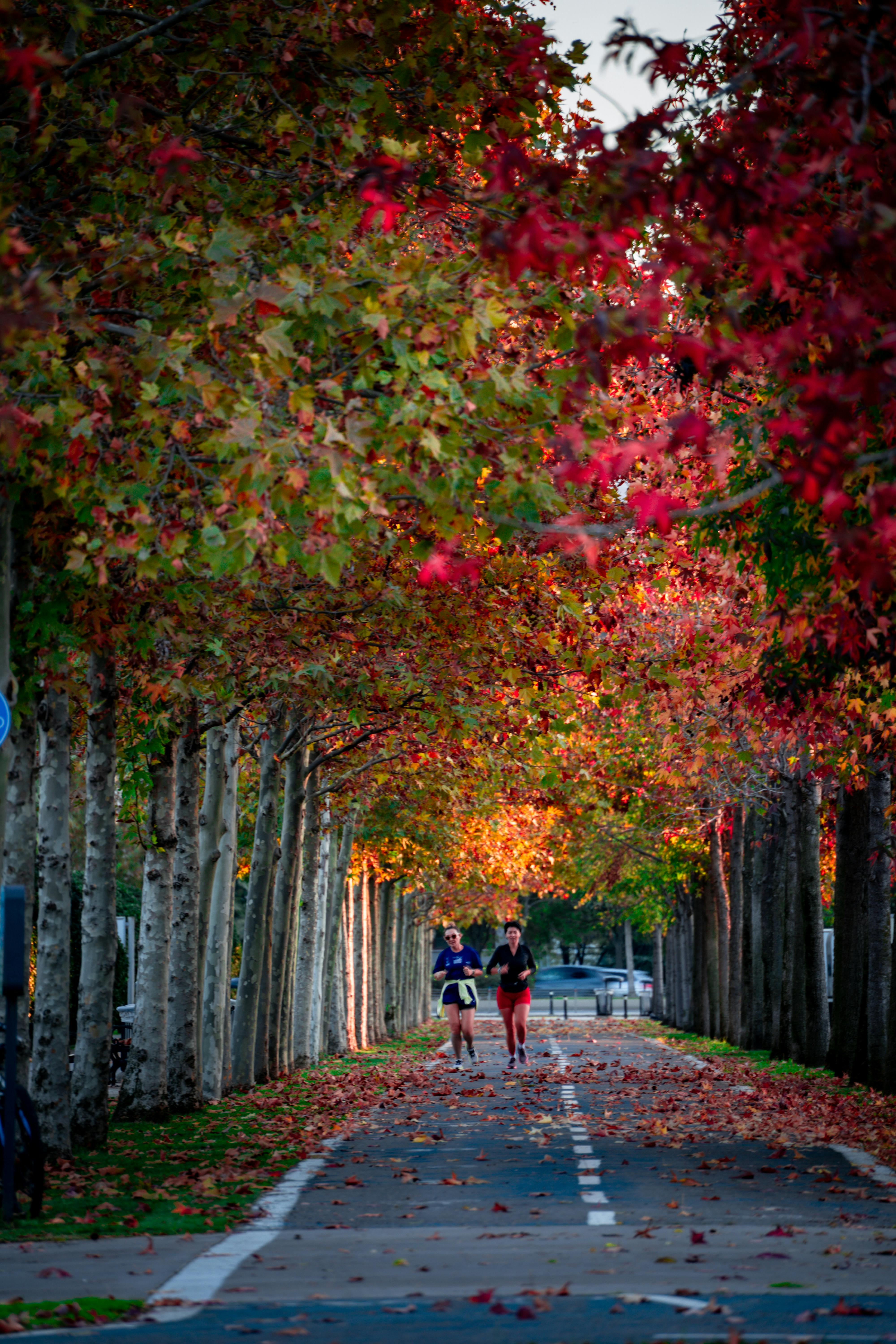 Rolul exercițiilor în combaterea depresiei sezoniere | Sfaturi de ...