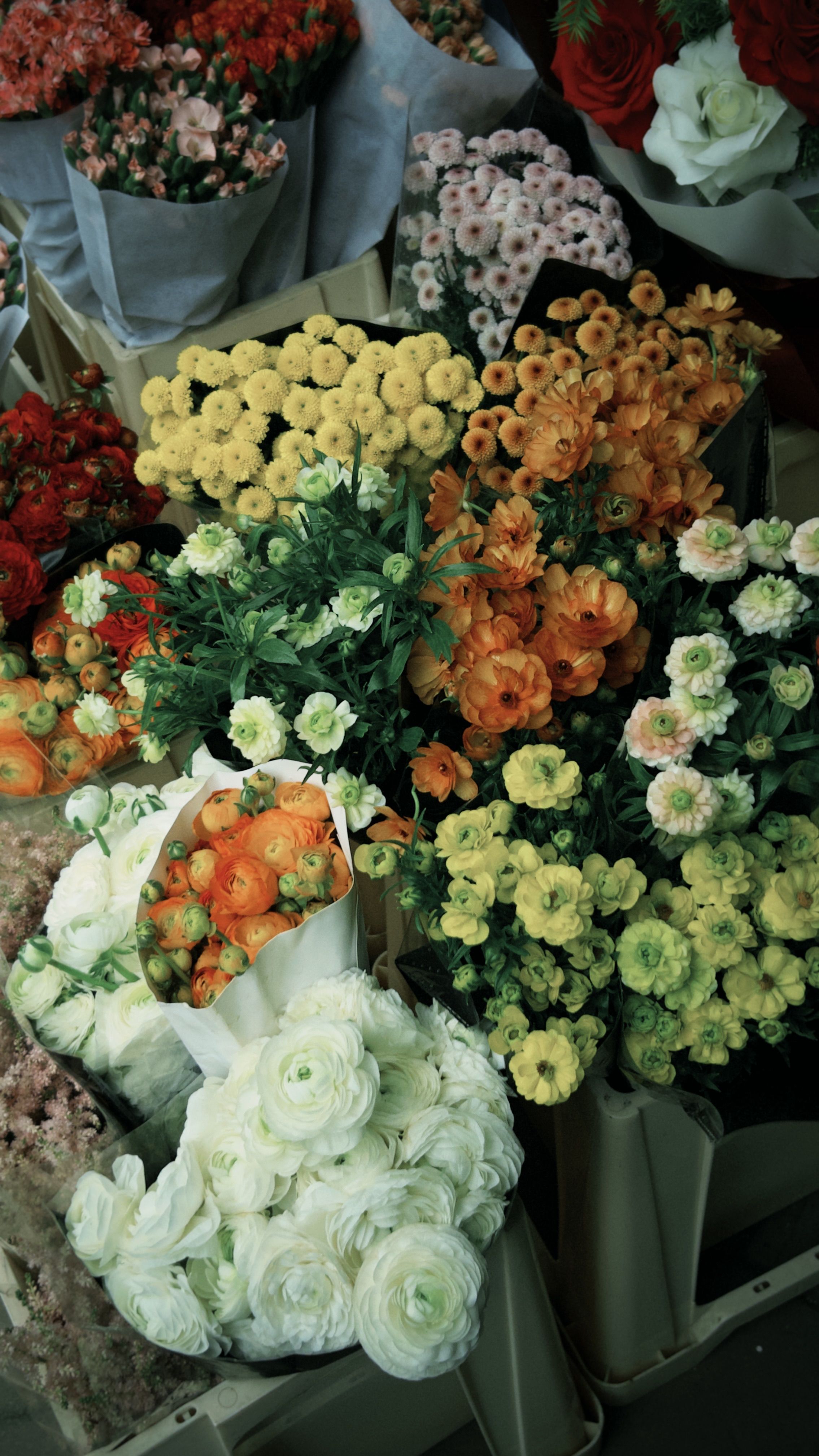 Vibrant Bunches of Mixed Fresh Flowers · Free Stock Photo