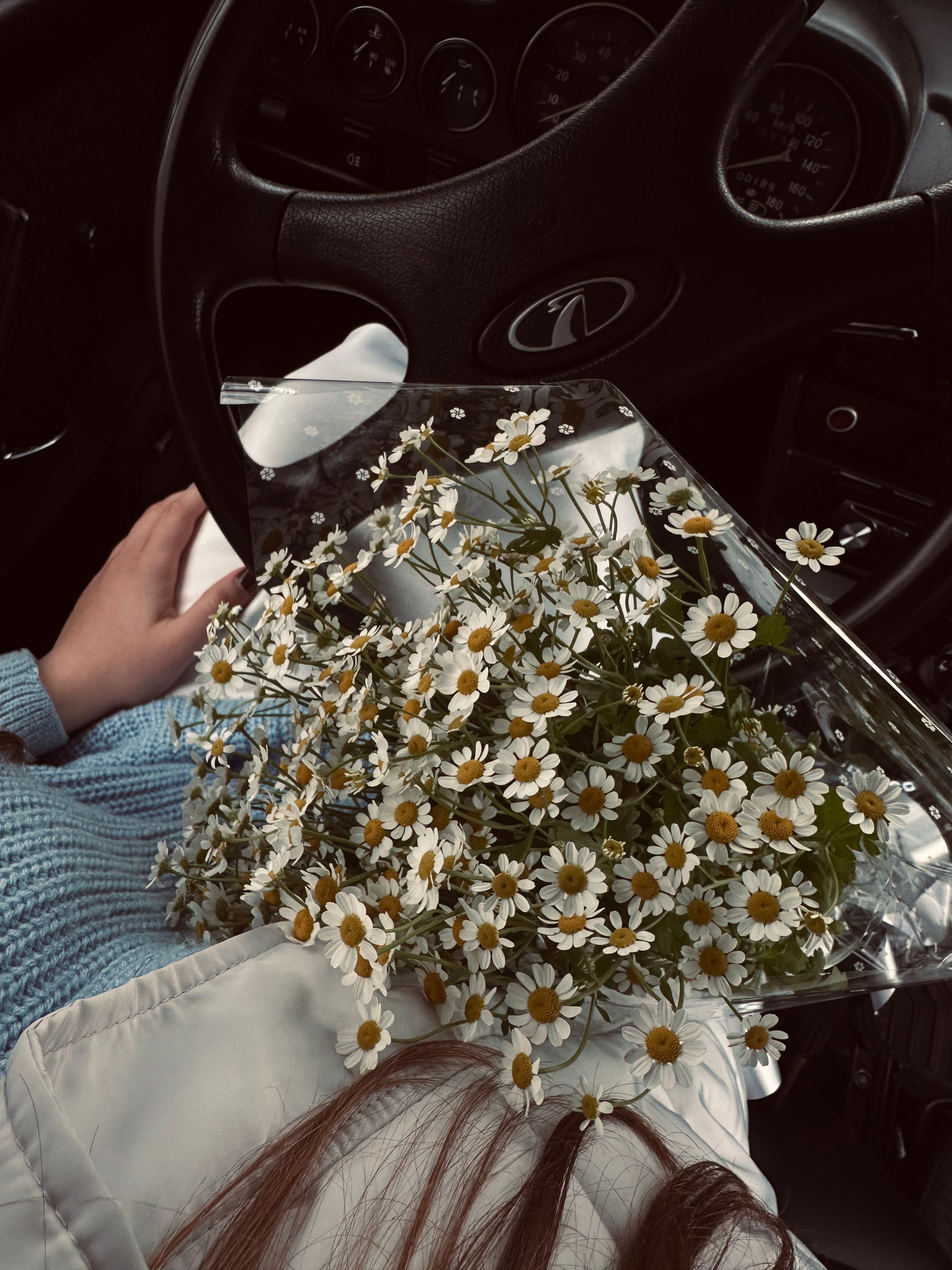 Romantic Bouquet of Daisies Inside a Car · Free Stock Photo