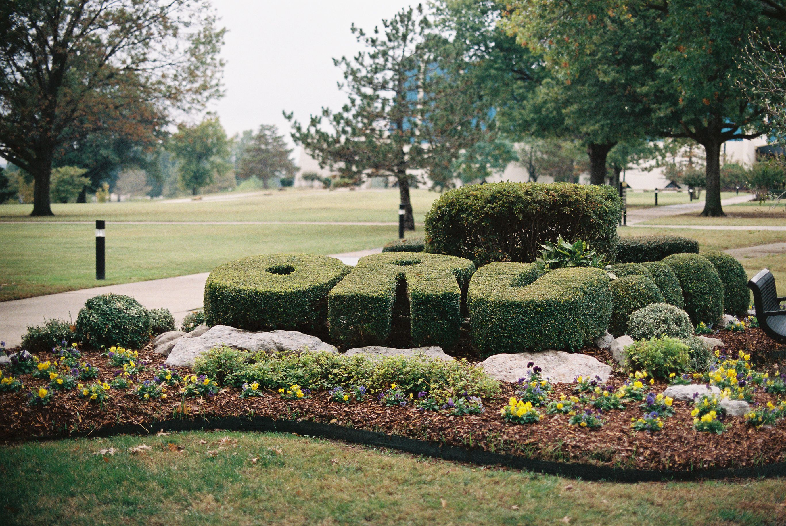 Sculpted Hedge Art in Lush Garden Park Setting · Free Stock Photo
