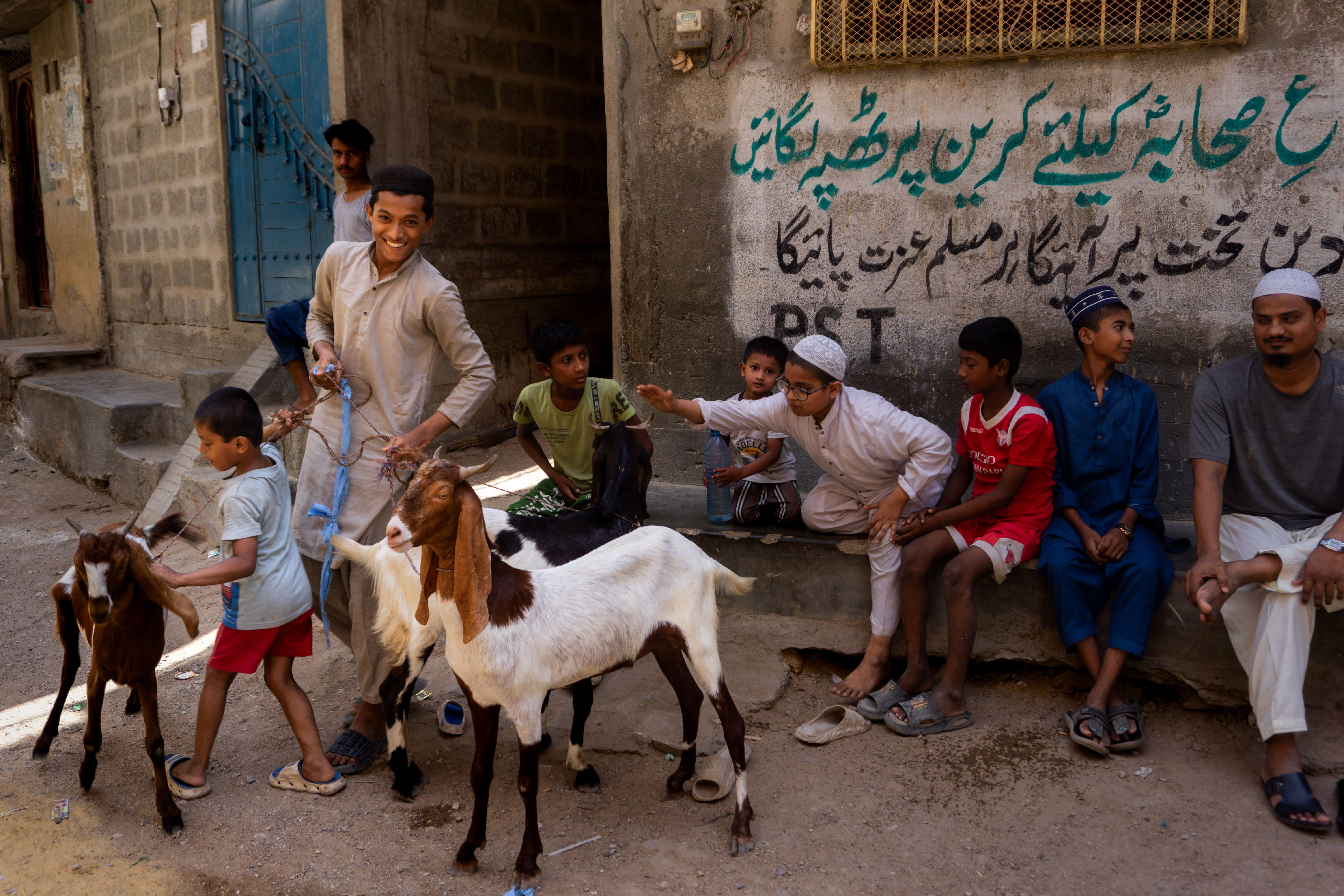 Smiling Goat Animated Photos, Download The BEST Free Smiling Goat ...