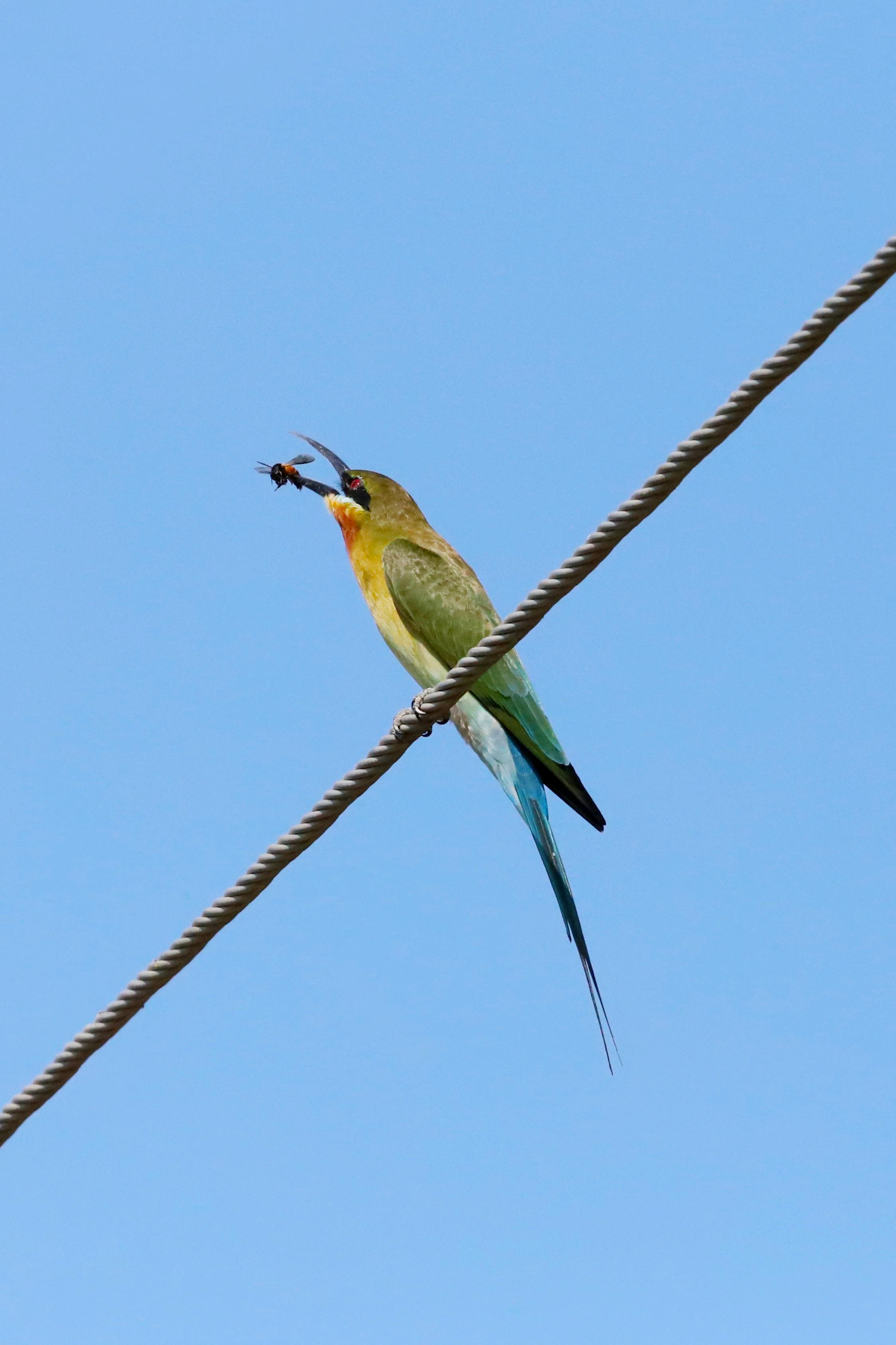 Le 100.000+ migliori foto di What-is-heif-image-file-format · Download ...