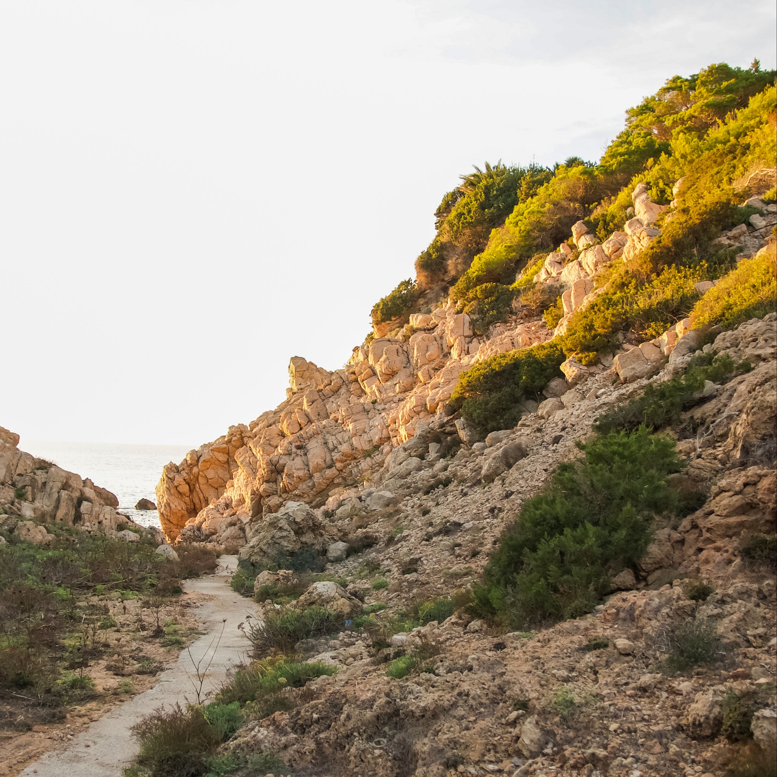 Scenic Coastal Pathway through Rocky Cliffs · Free Stock Photo