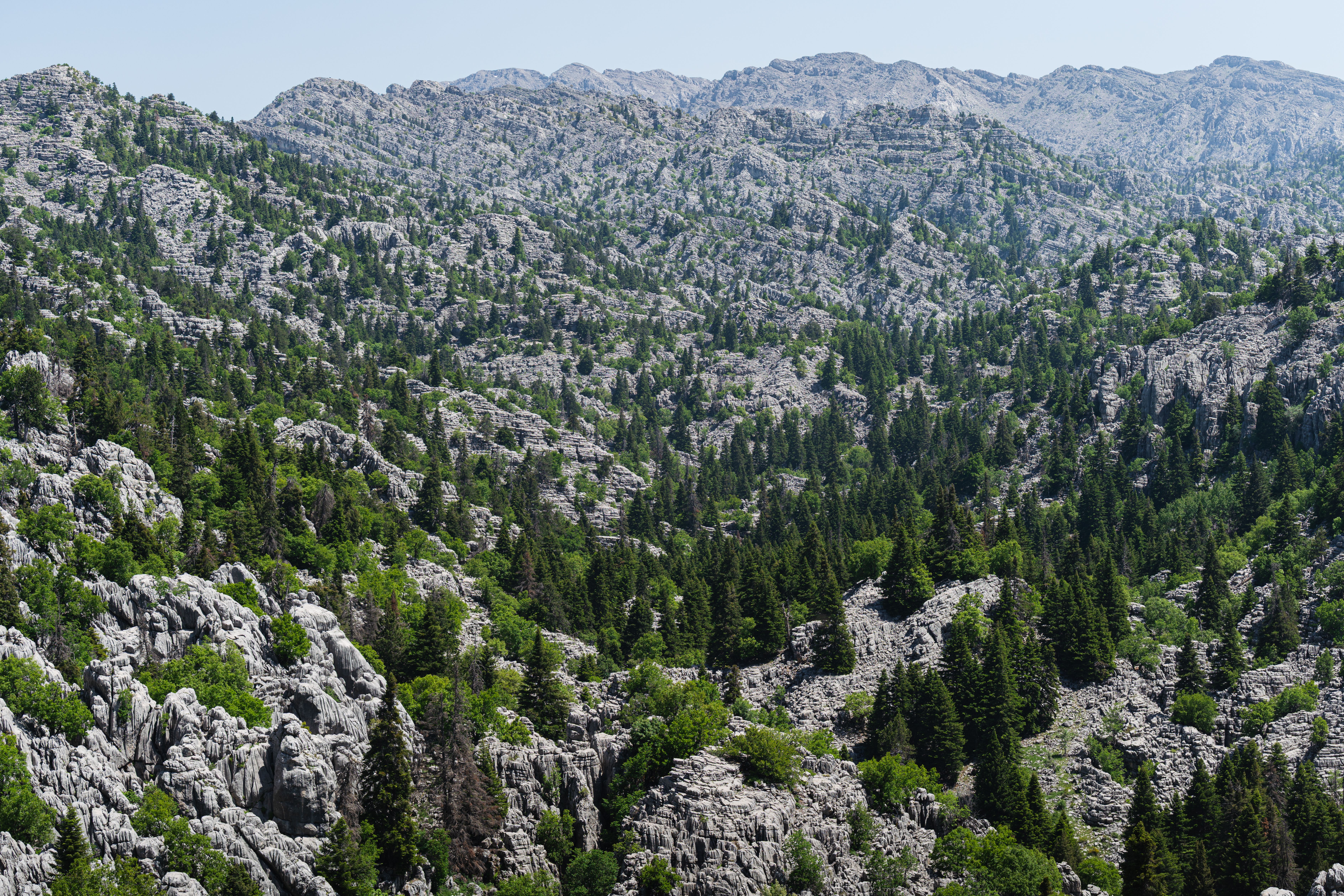 Rugged Limestone Terrain with Dense Forest · Free Stock Photo