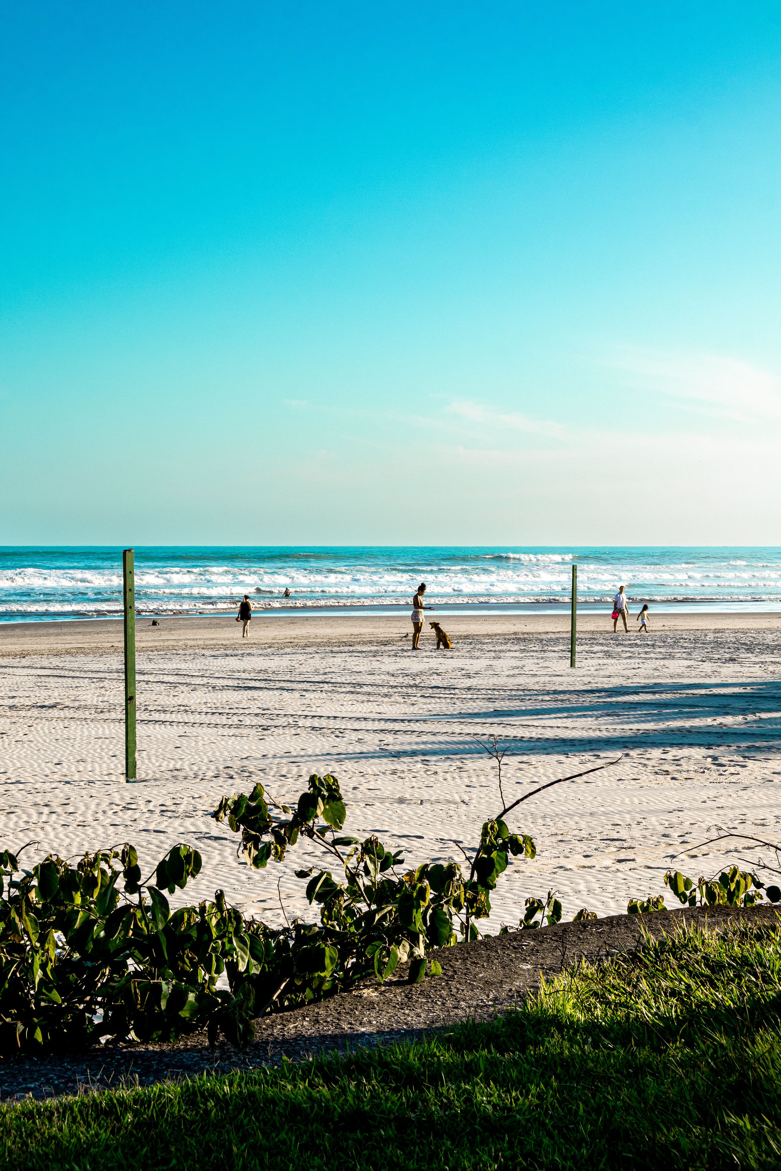 Billboards Beach Photos, Download The BEST Free Billboards Beach Stock ...