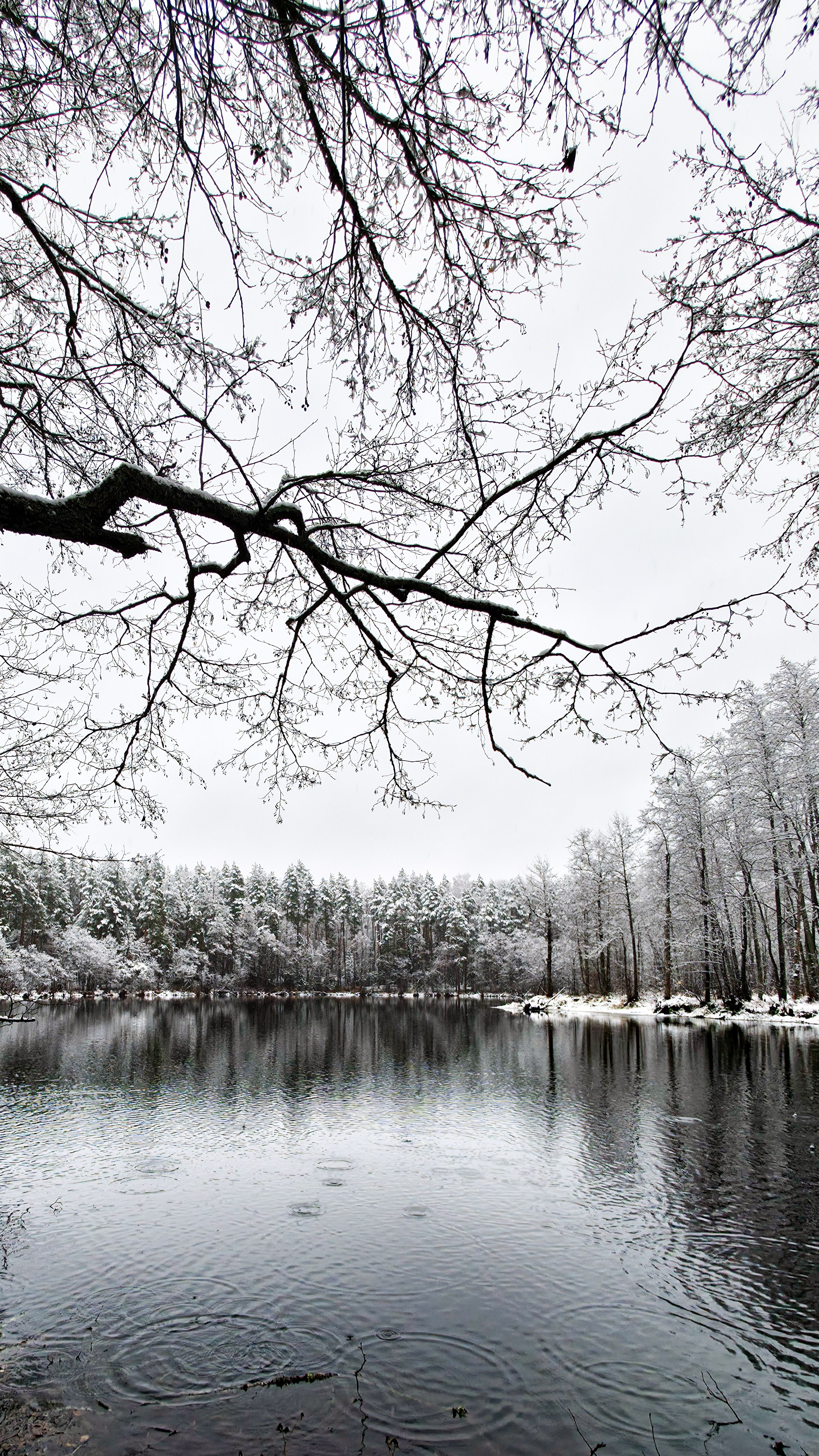 February Nature Photos, Download The BEST Free February Nature Stock ...
