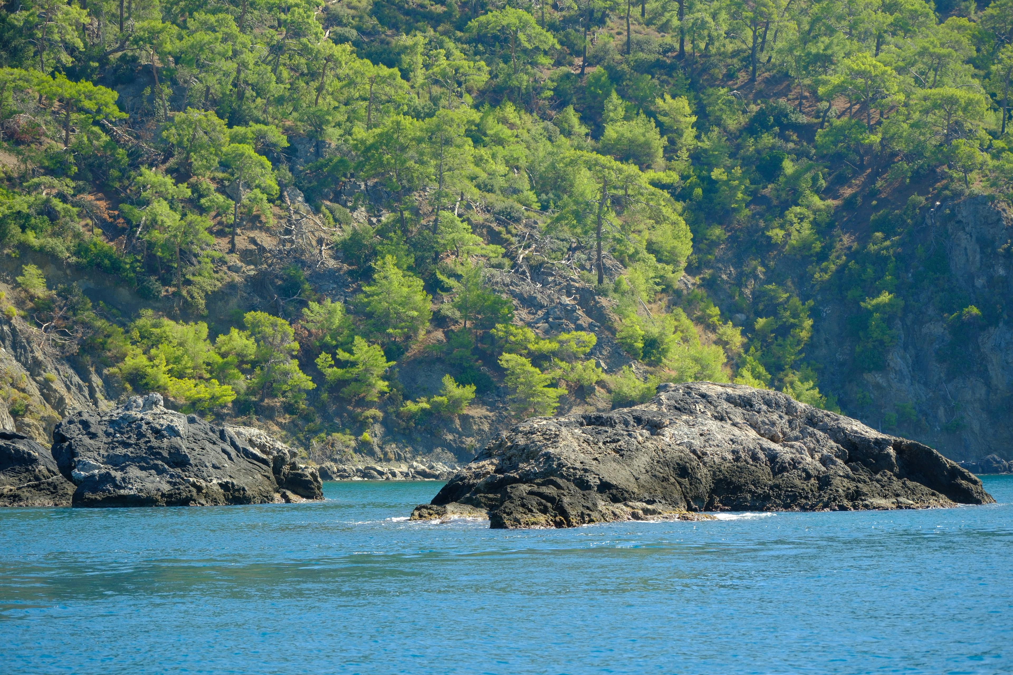 200 000+ What-is-heif-image-file-format banque d’images et photos ...