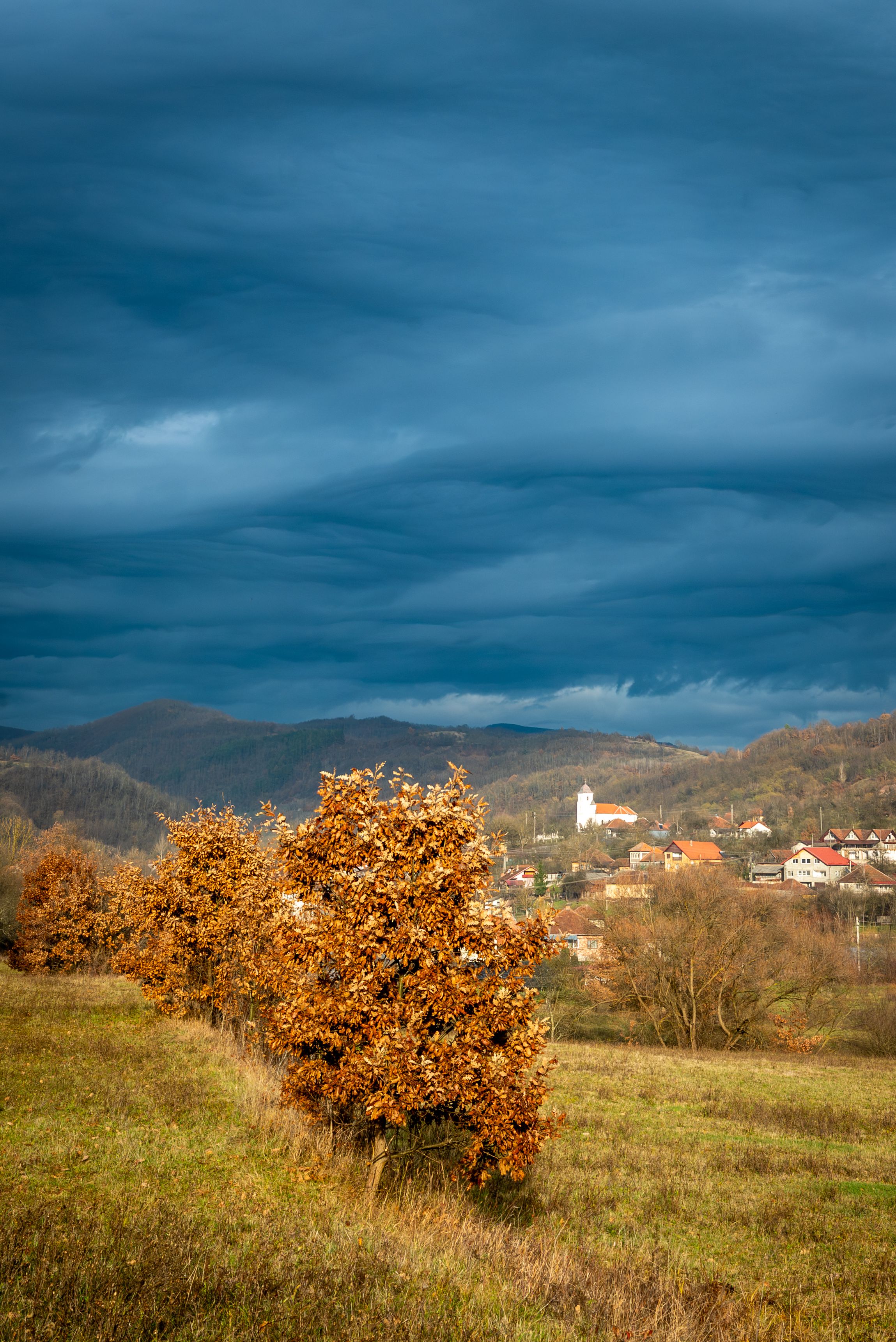 Poze+Cu+Romania Photos, Download The BEST Free Poze+Cu+Romania Stock ...
