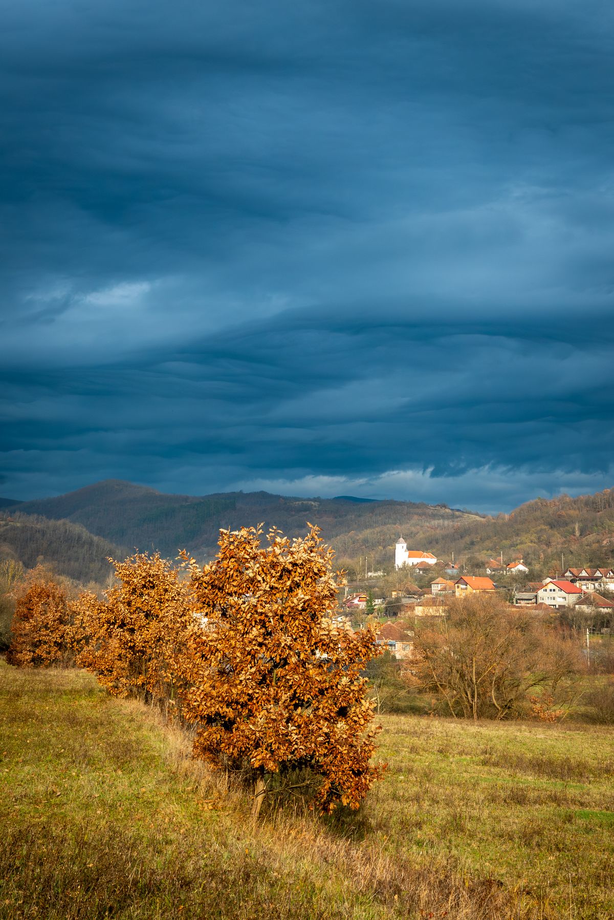 Poze+Cu+Romania Photos, Download The BEST Free Poze+Cu+Romania Stock ...
