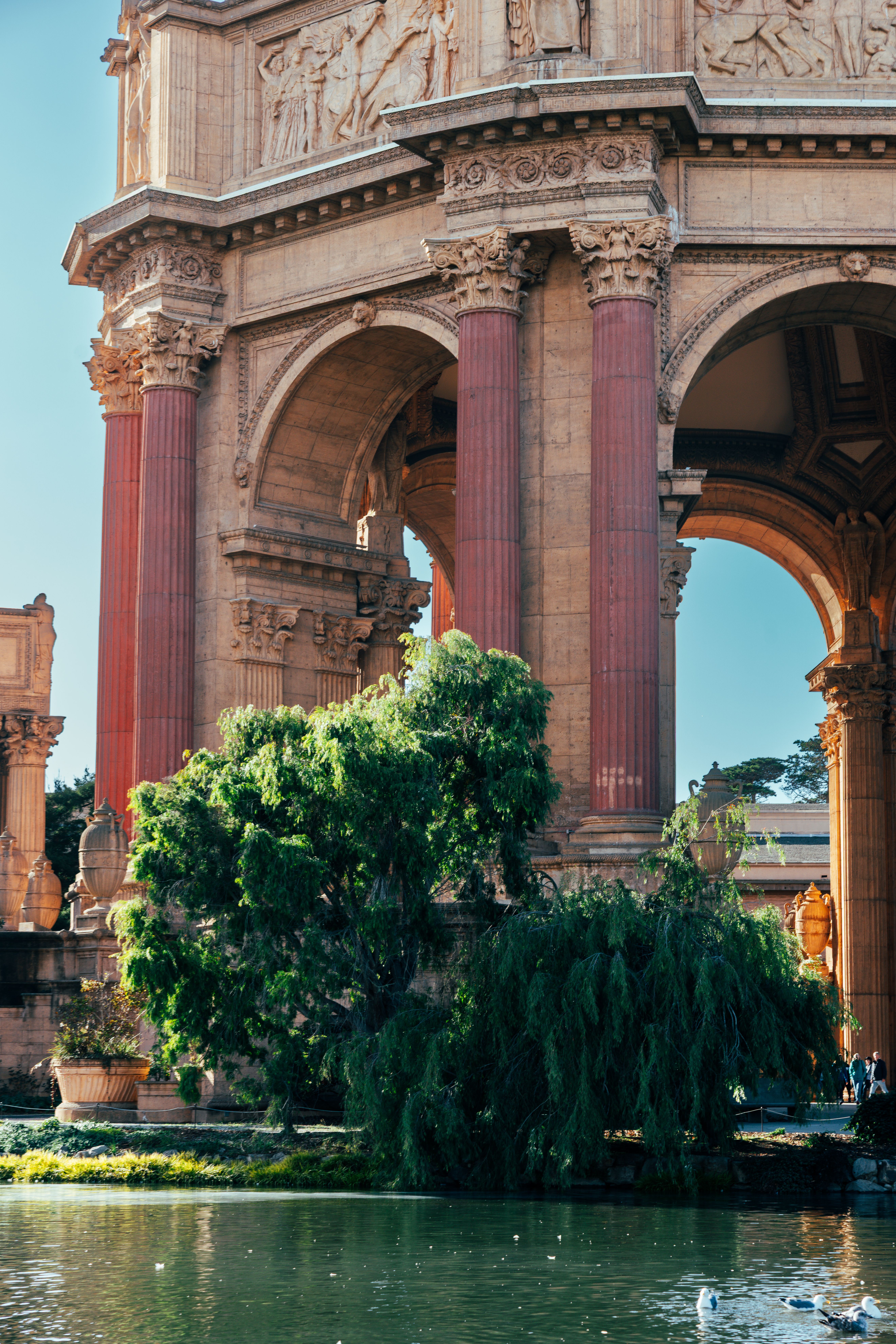 Imposing Architecture of Palace of Fine Arts · Free Stock Photo