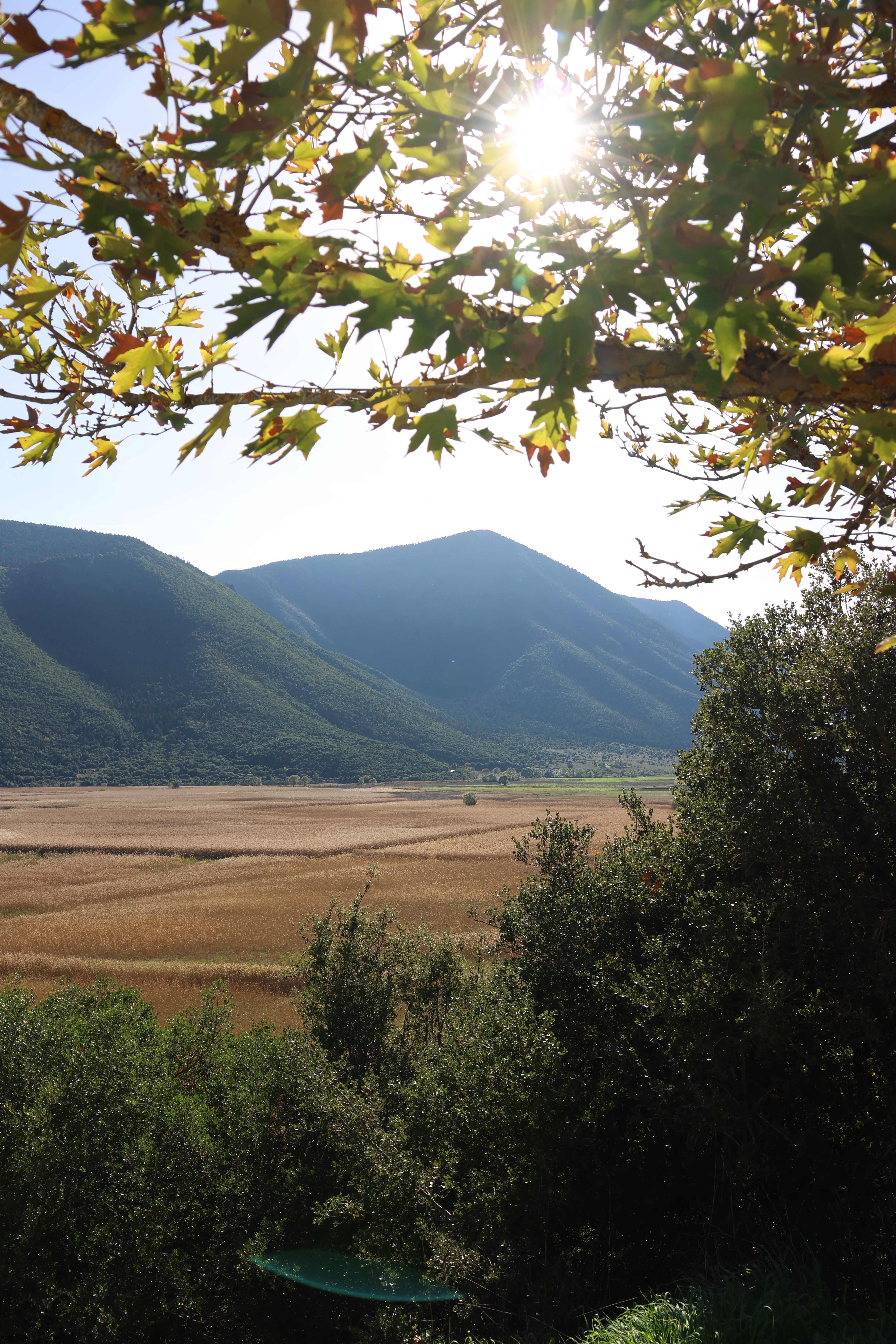 Sunlit Landscape of Stymfalia, Greece · Free Stock Photo