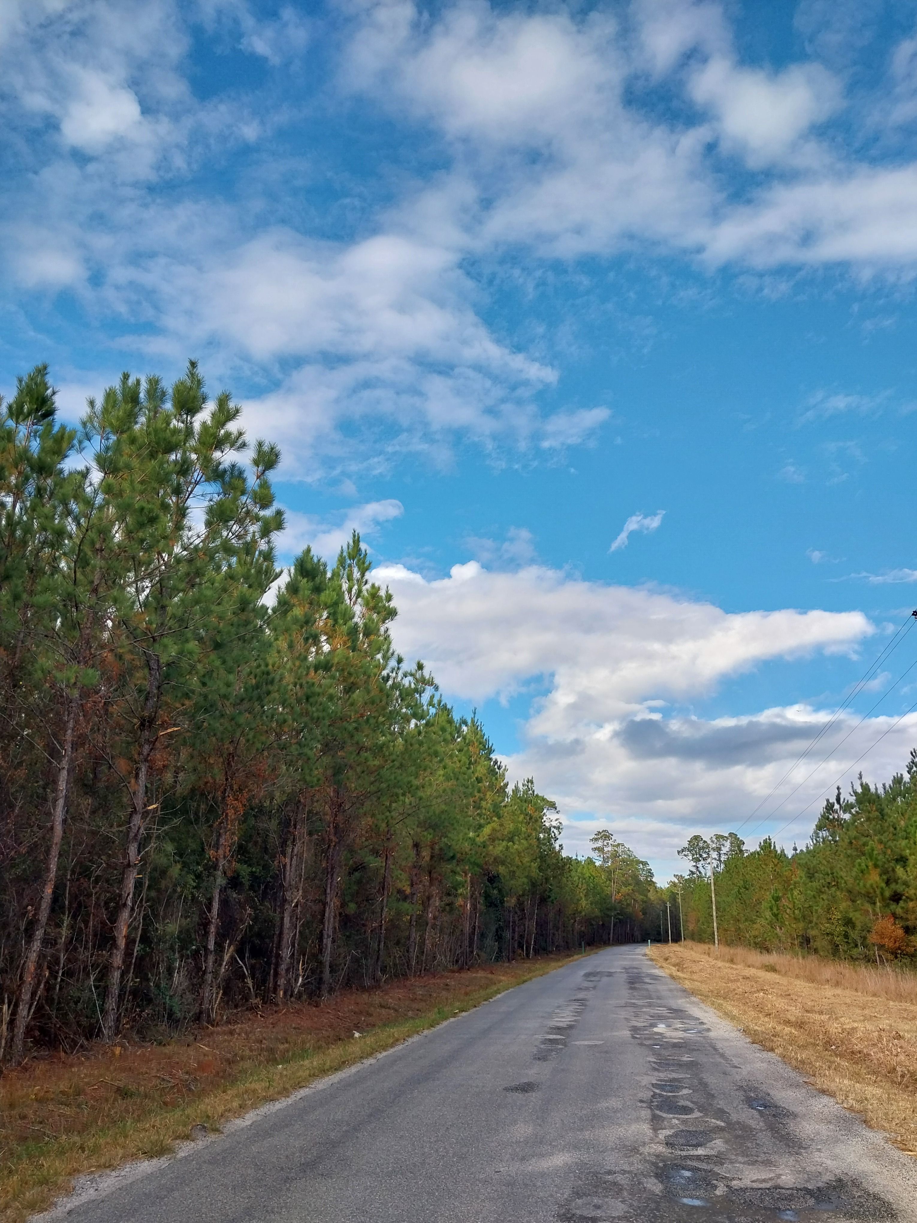 Quiet Country Road Through Forest Pathway · Free Stock Photo