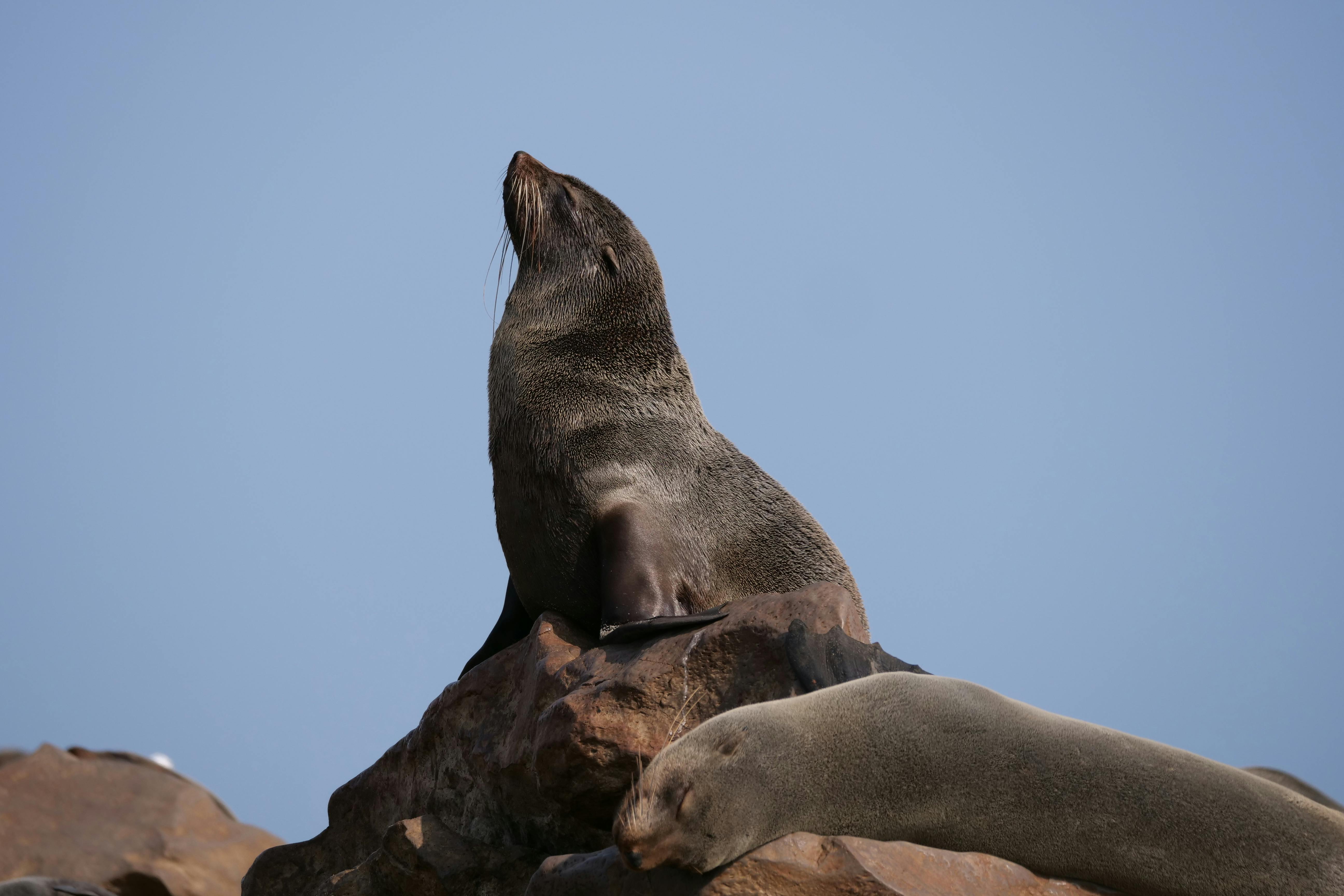 200 000+ What-is-heif-image-file-format banque d’images et photos ...