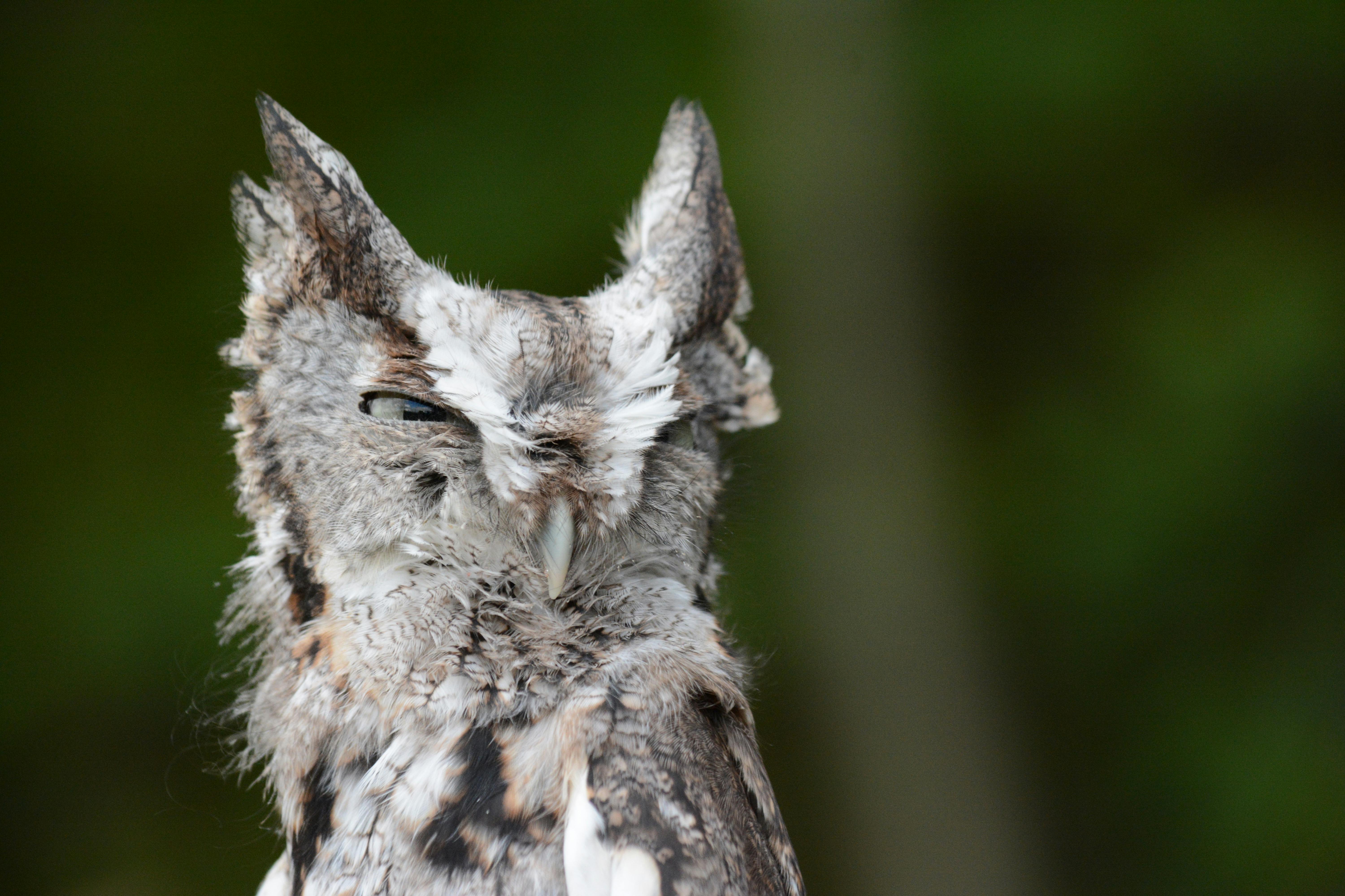 200 000+ What-is-heif-image-file-format banque d’images et photos ...