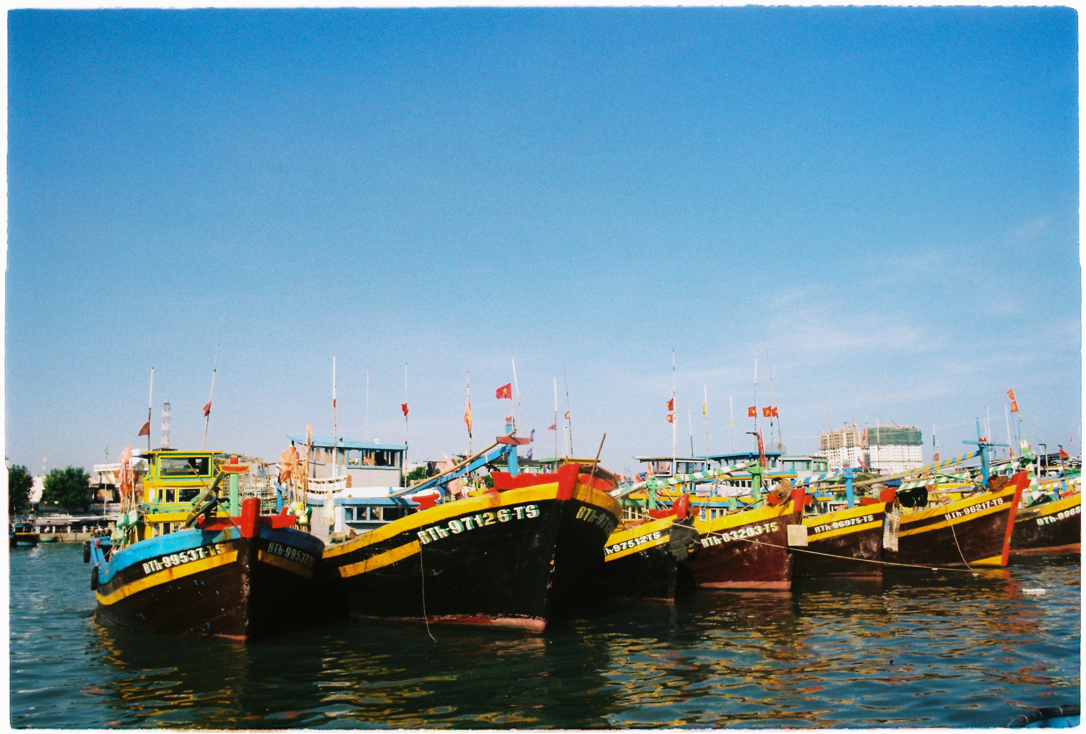 Colorful Fishing Boats in a Vibrant Harbor · Free Stock Photo
