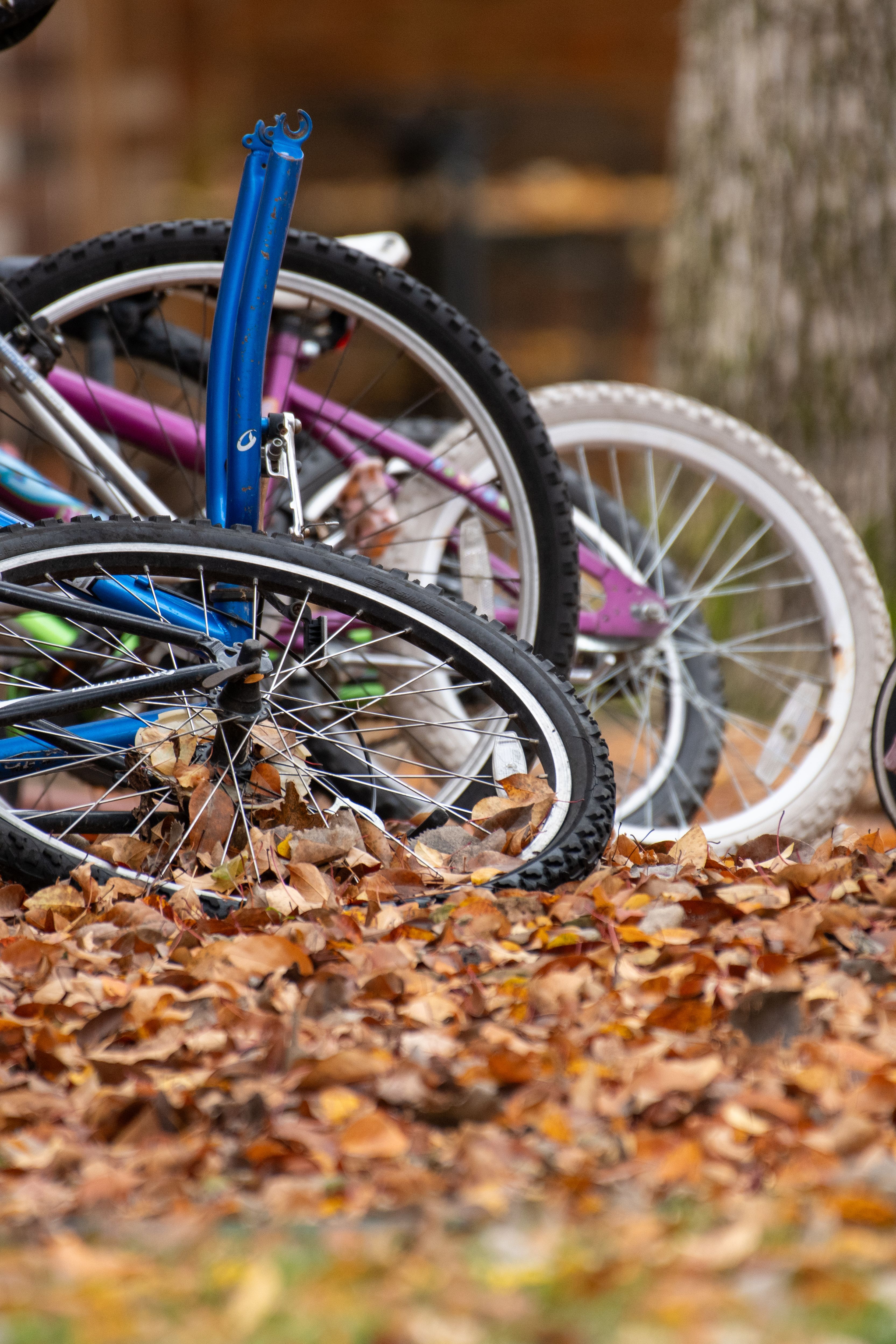 Bikes Photos, Download The BEST Free Bikes Stock Photos & HD Images