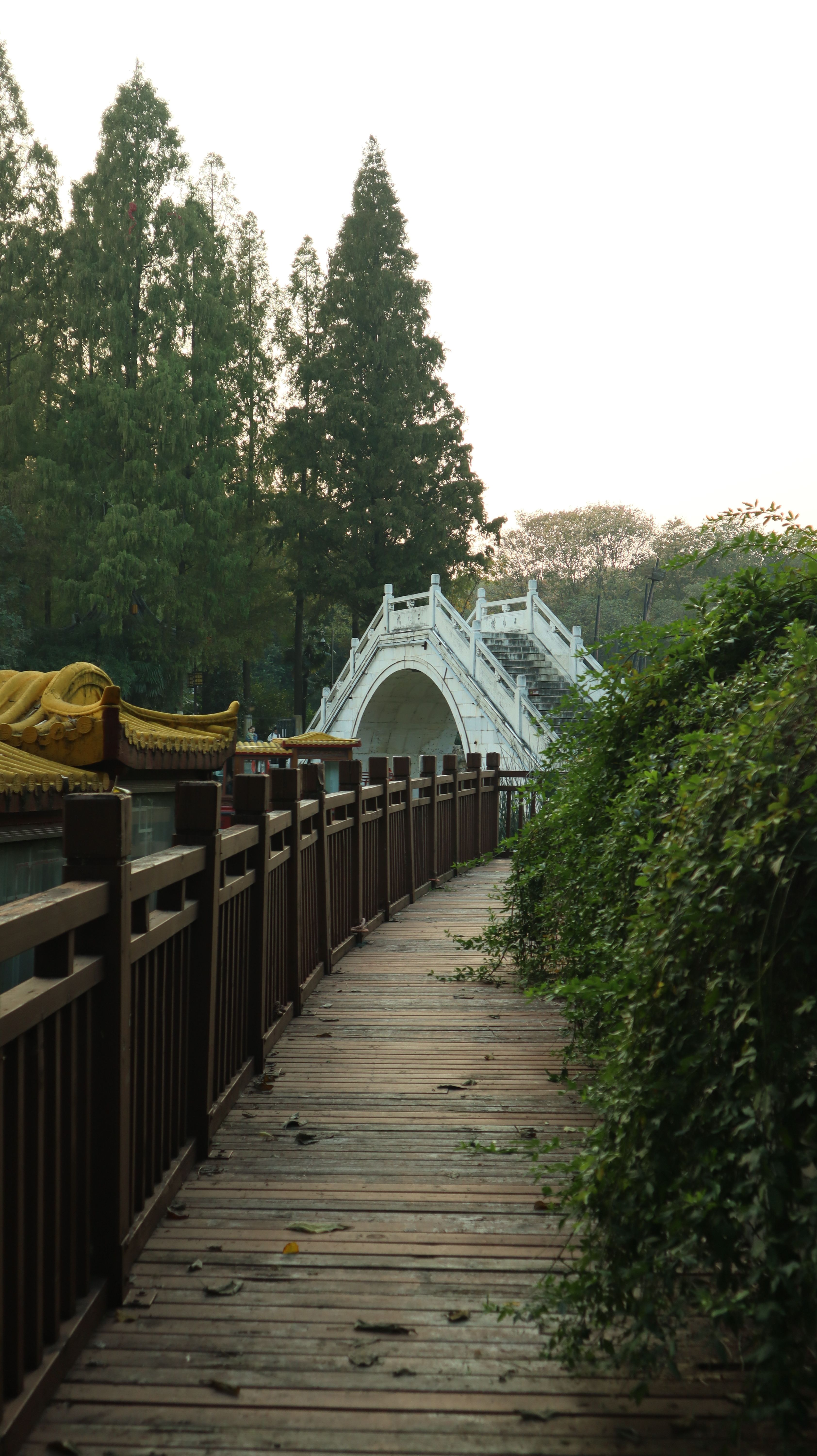 Scenic Wooden Path Leading to Arched Bridge · Free Stock Photo
