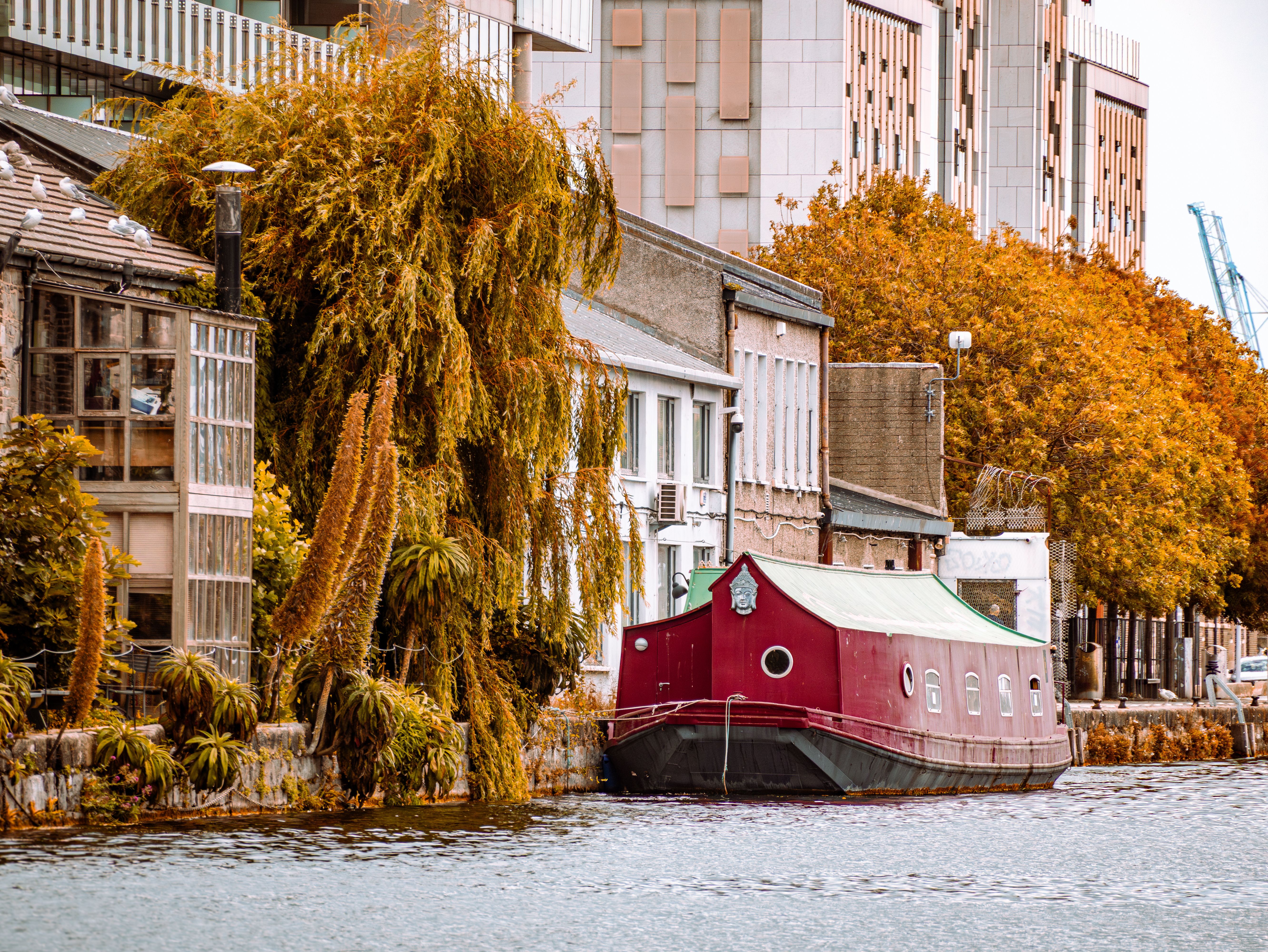 Picturesque Autumn Scene in Dublin, Ireland · Free Stock Photo