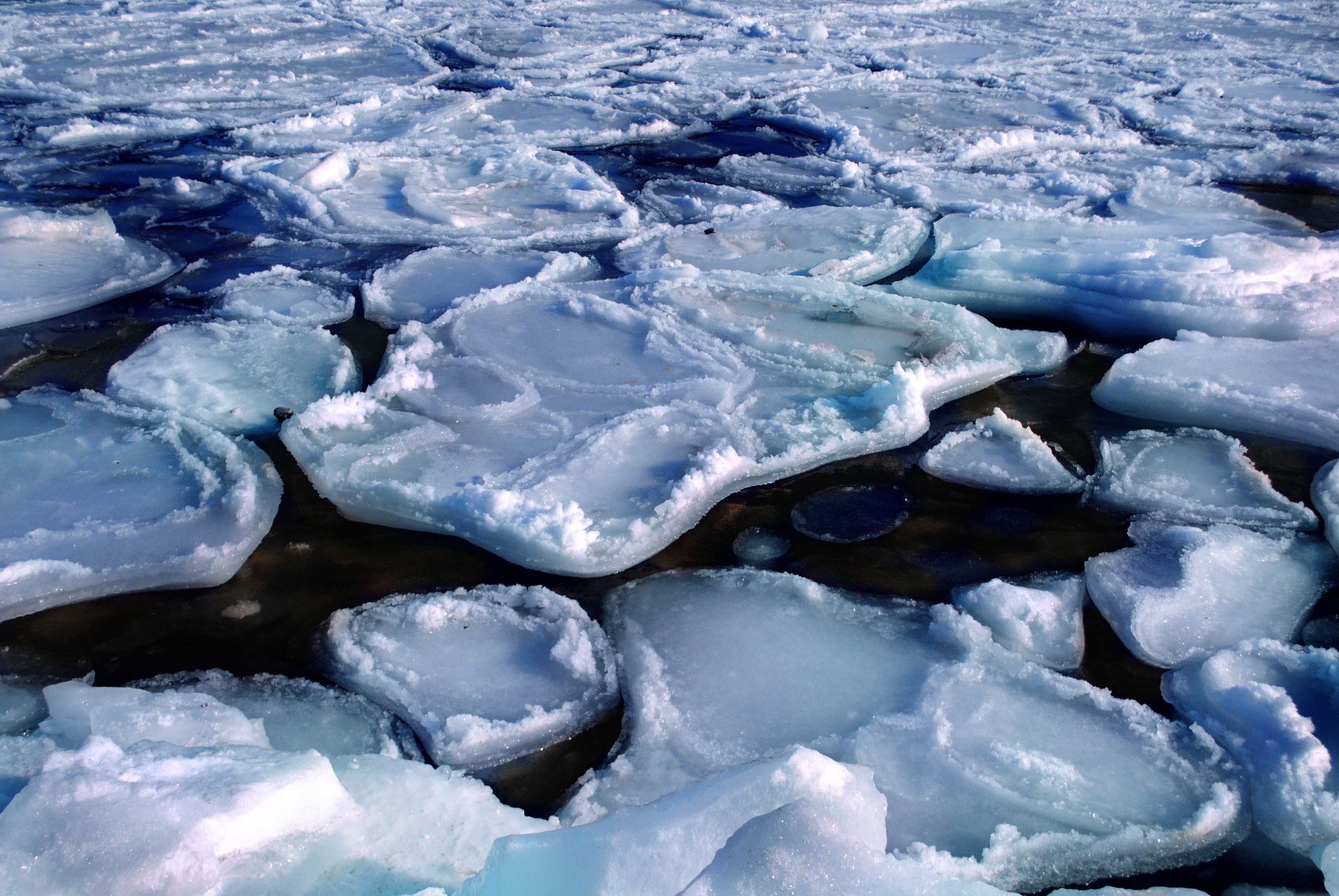 Derretimiento De Témpanos De Hielo En El ártico · Foto de stock gratuita