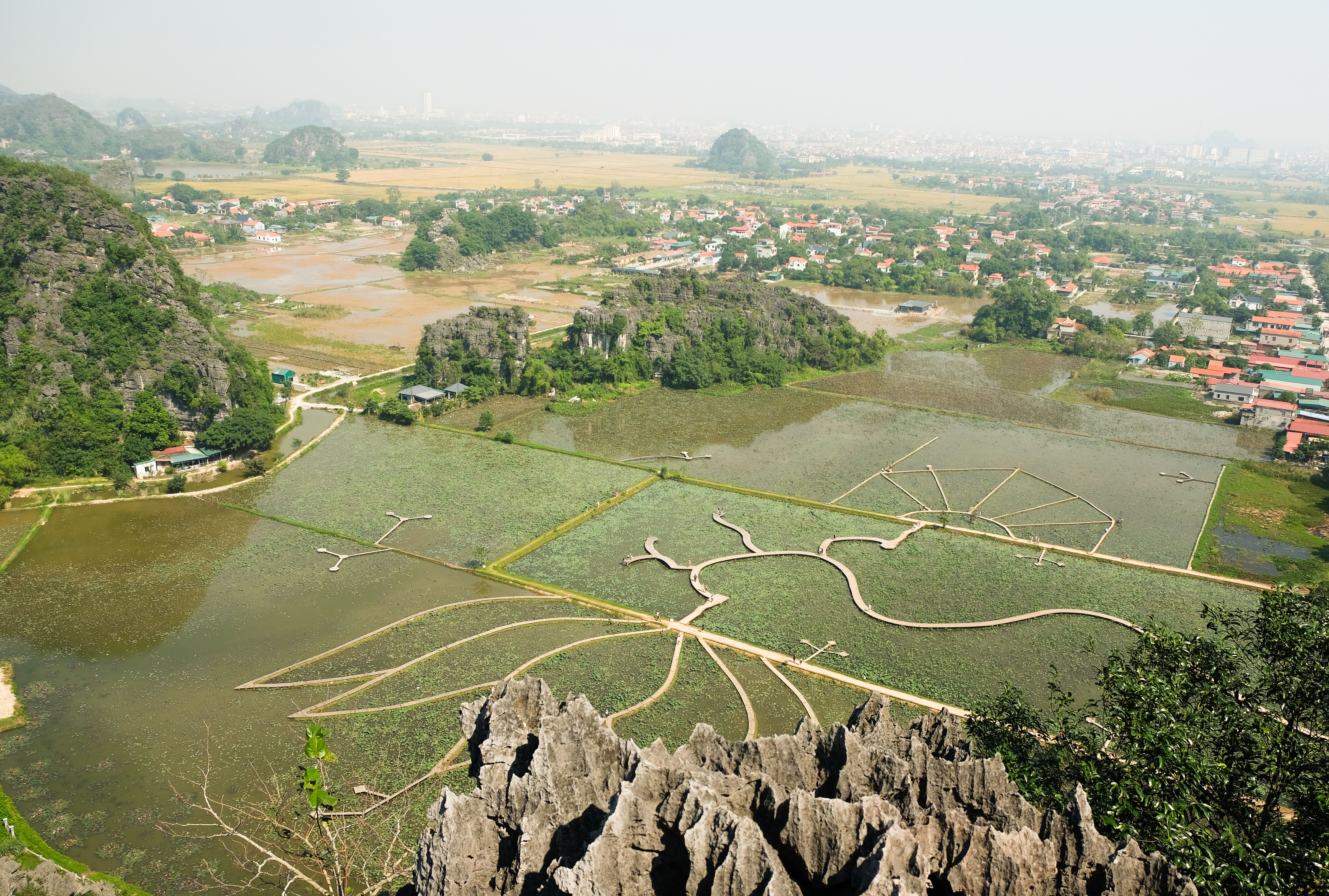 Aerial View of Rice Fields and Limestone Hills · Free Stock Photo