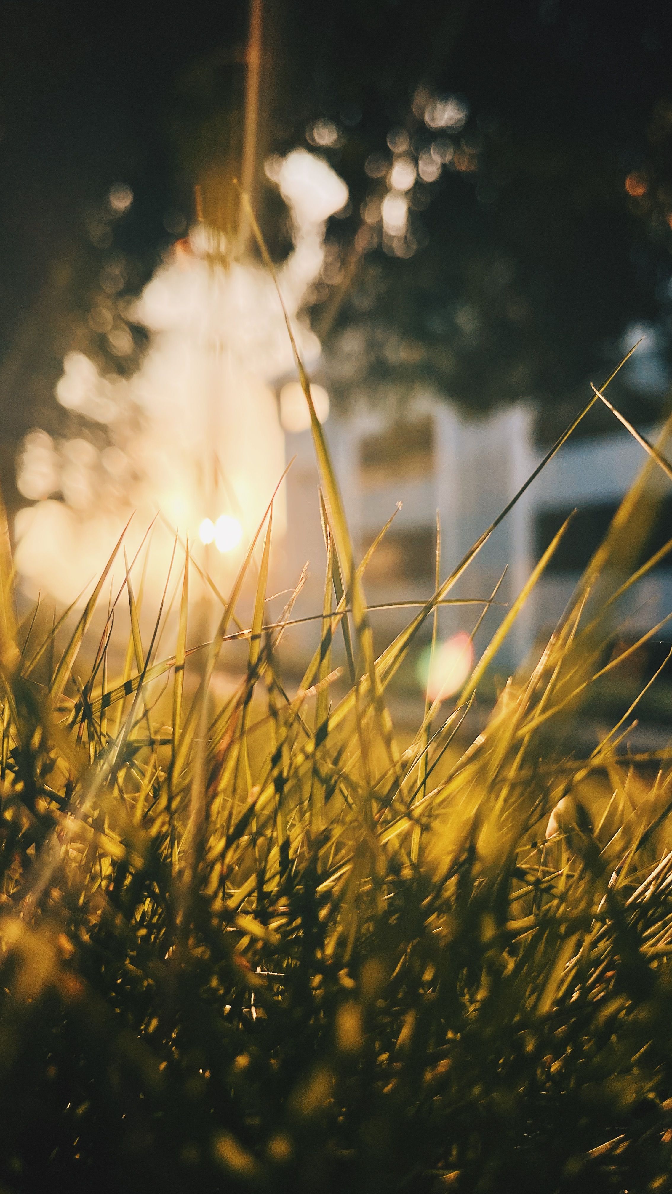 Sunlight Nature Wallpaper Photos, Download The BEST Free Sunlight ...