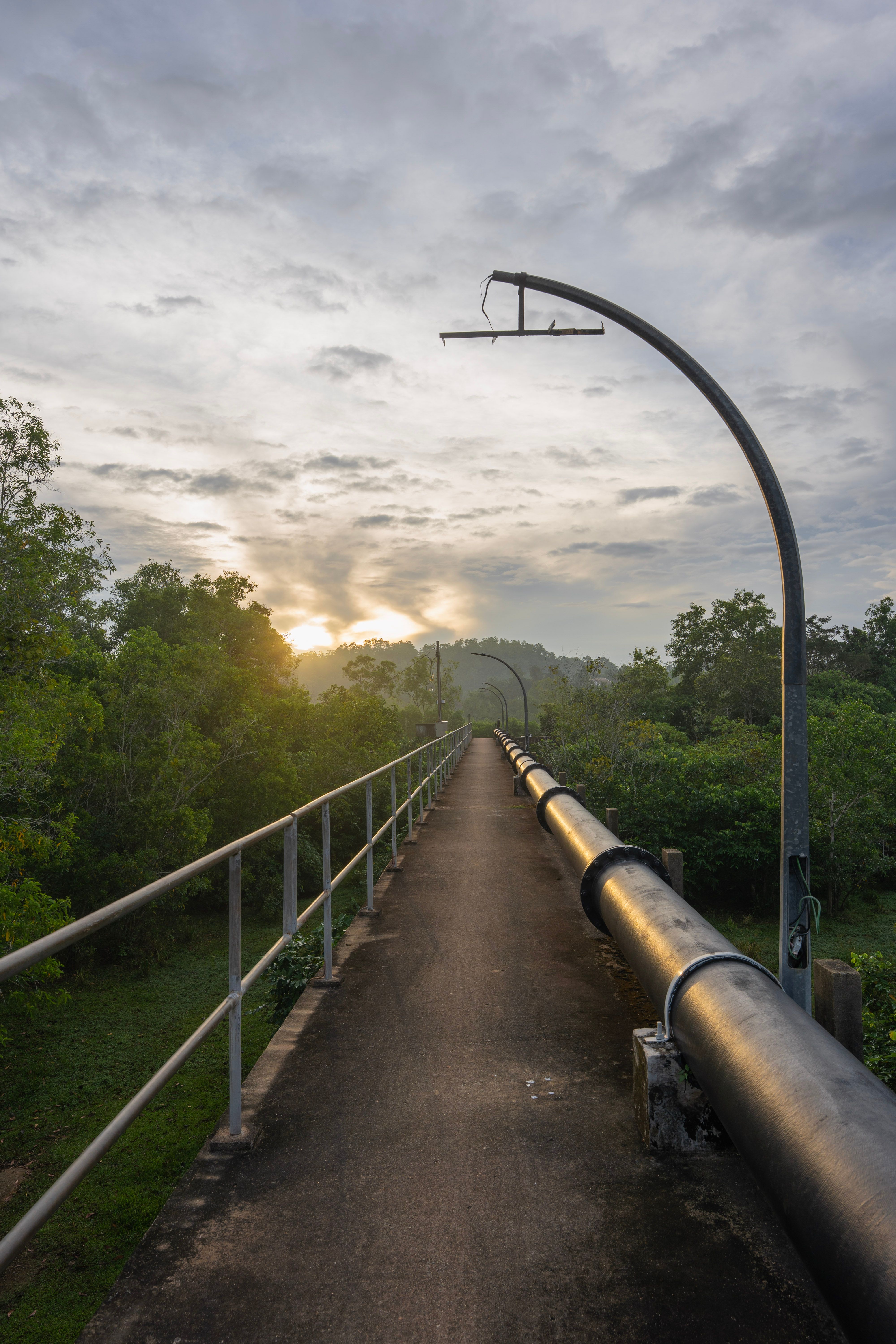 Scenic Elevated Pathway at Sunrise · Free Stock Photo